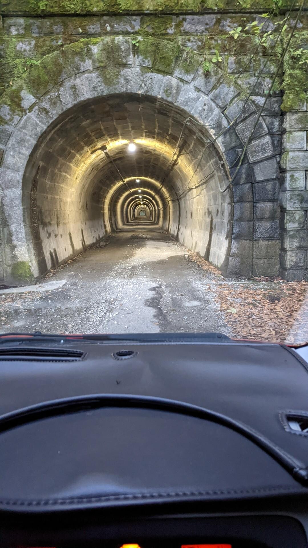 WRC 伊勢神SS 寧比曽岳 / kmasaharuさんの寧比曽岳・筈ヶ岳・出来山の活動日記 | YAMAP / ヤマップ