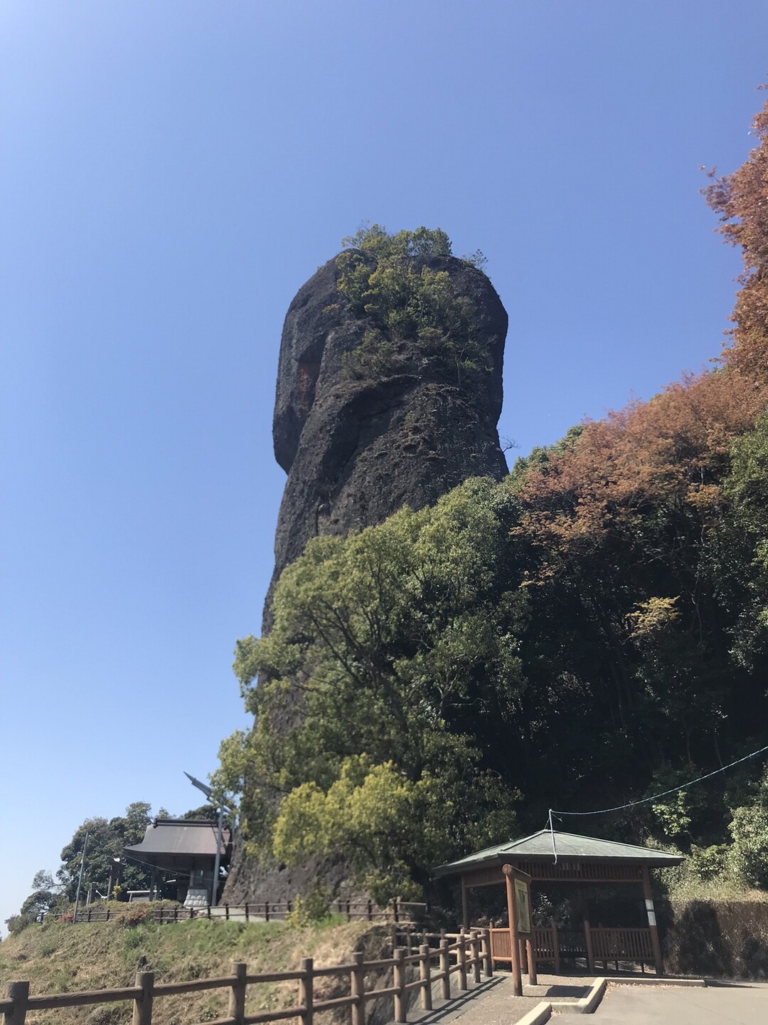 久しぶりの後不動直登は激登りだった / タガワさんの蒲生山・日岡山の活動日記 | YAMAP / ヤマップ