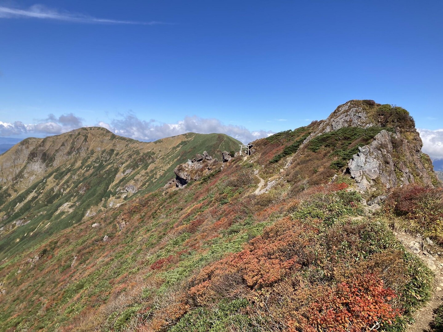 西黒尾根から茂倉新道へ / plasmonさんの谷川岳・七ツ小屋山・大源太山の活動データ | YAMAP / ヤマップ