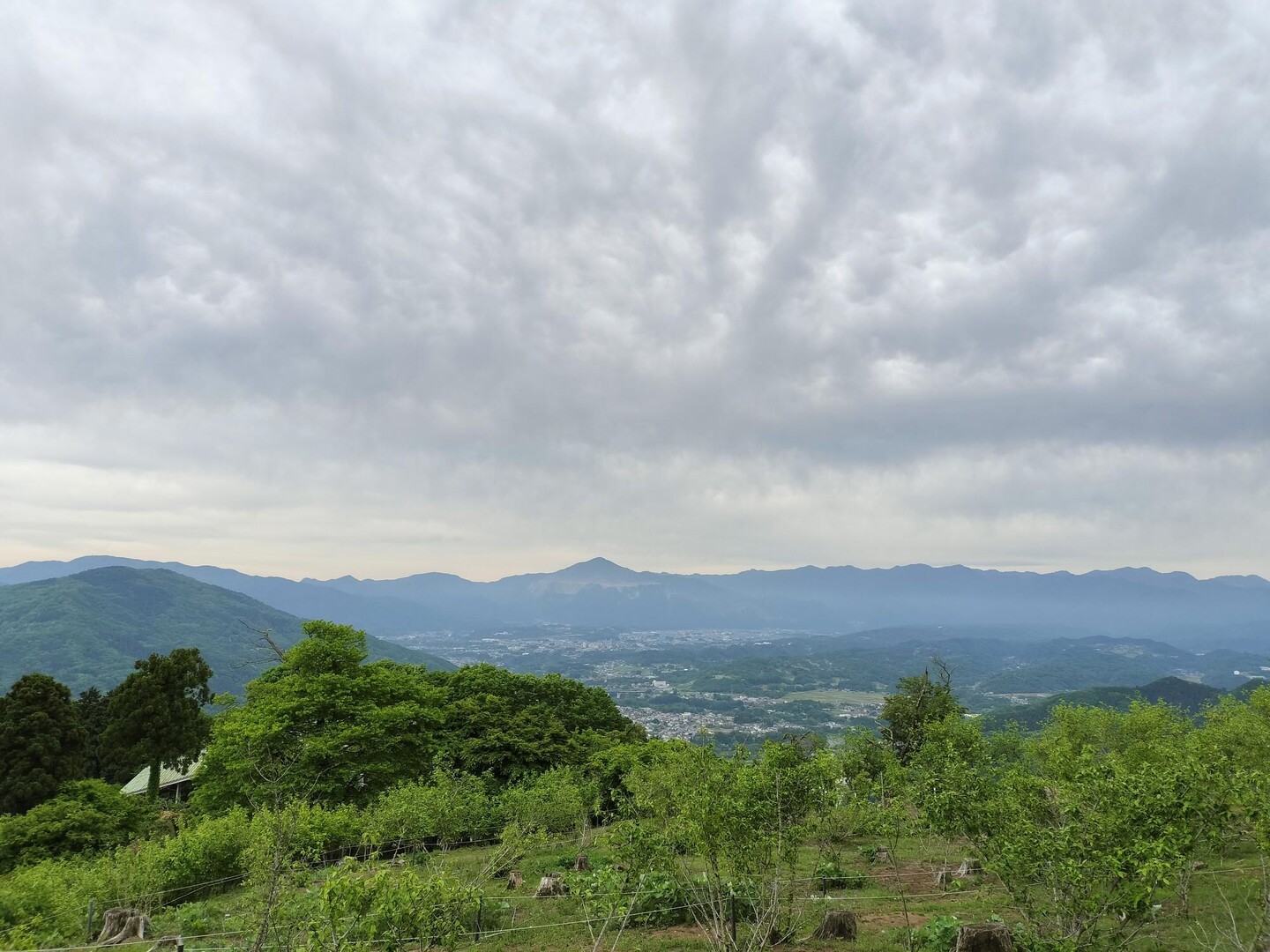宝登山 / Andyさんの宝登山・長瀞アルプス・不動山・陣見山・鐘撞堂山の活動データ | YAMAP / ヤマップ