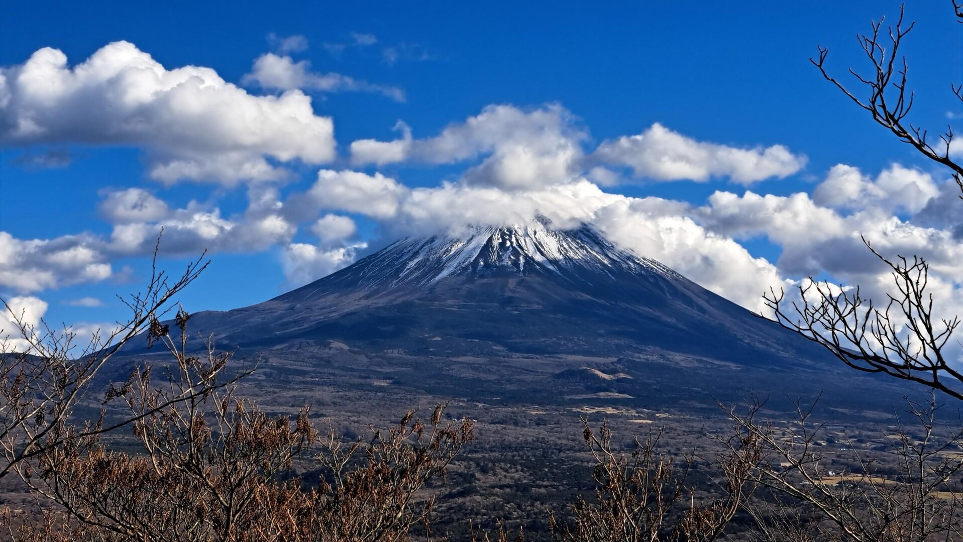 辰年最後に...竜ヶ岳遠征🐲 / ch!saさんの毛無山・雨ヶ岳・竜ヶ岳の活動データ | YAMAP / ヤマップ