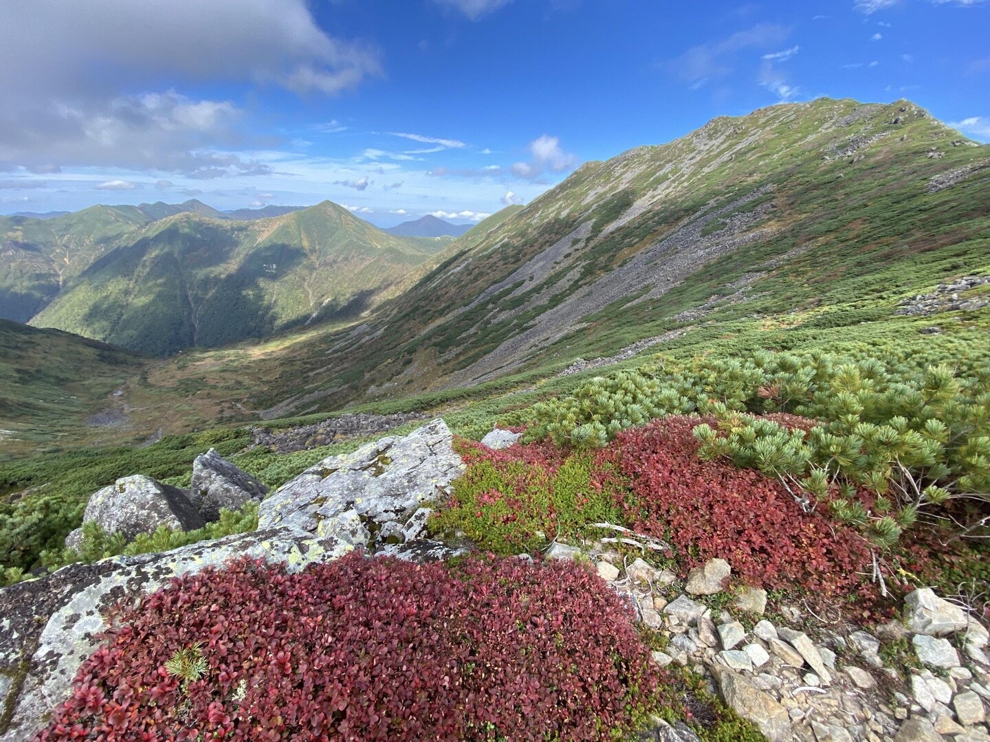 ️🚗幌尻岳(額平川渡渉) / NBさんの幌尻岳・戸蔦別岳・伏美岳の活動データ | YAMAP / ヤマップ