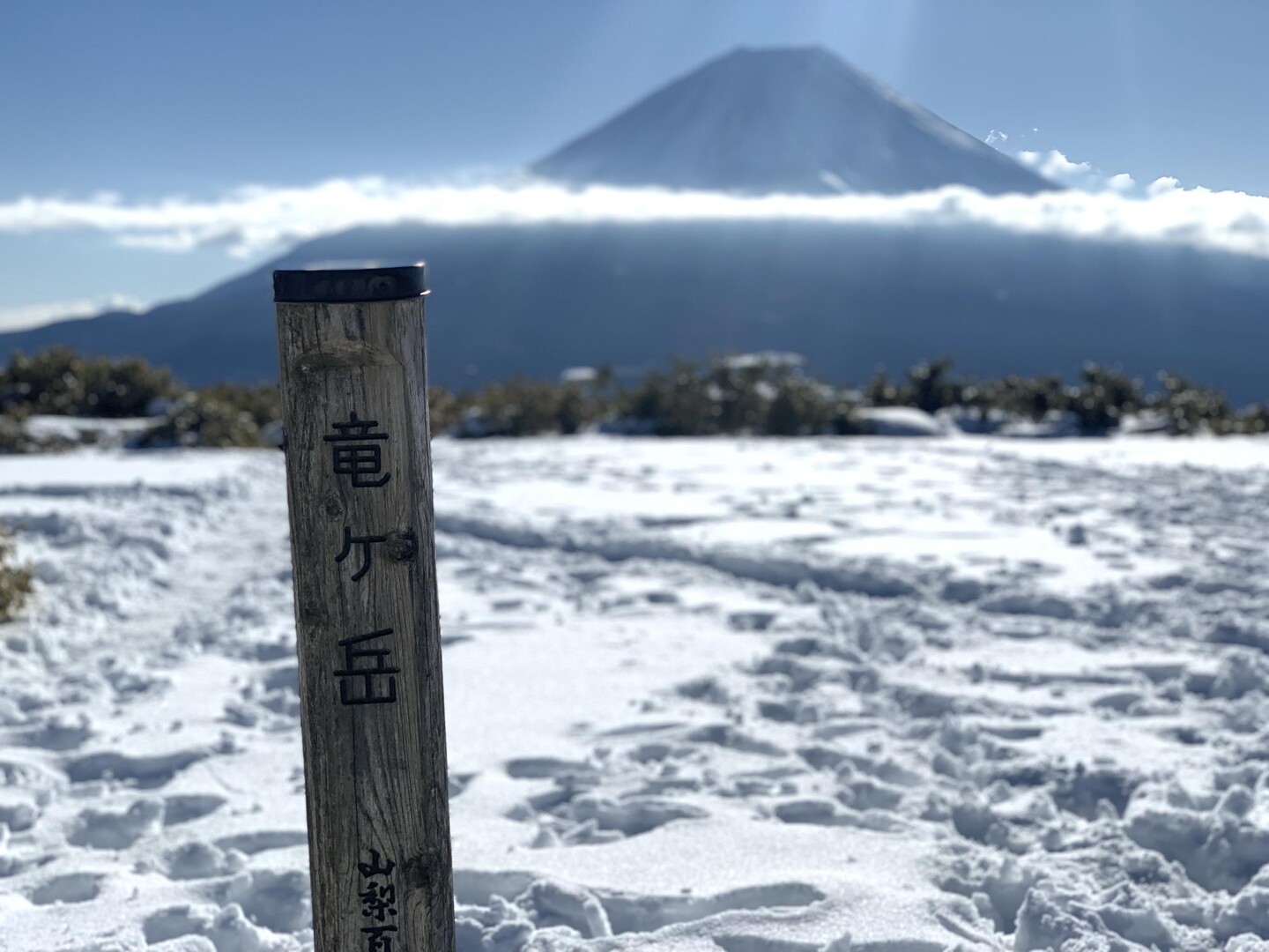 竜ヶ岳 / omiさんの毛無山・雨ヶ岳・竜ヶ岳の活動データ | YAMAP / ヤマップ