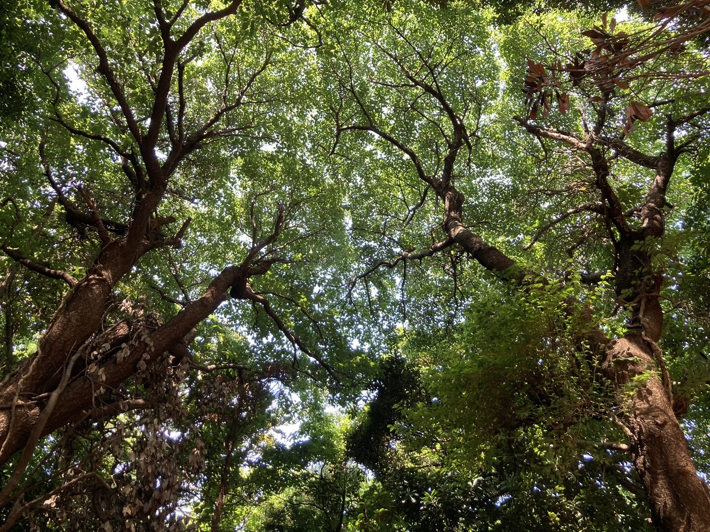 hiyoさんの投稿したフィールドメモ | YAMAP / ヤマップ