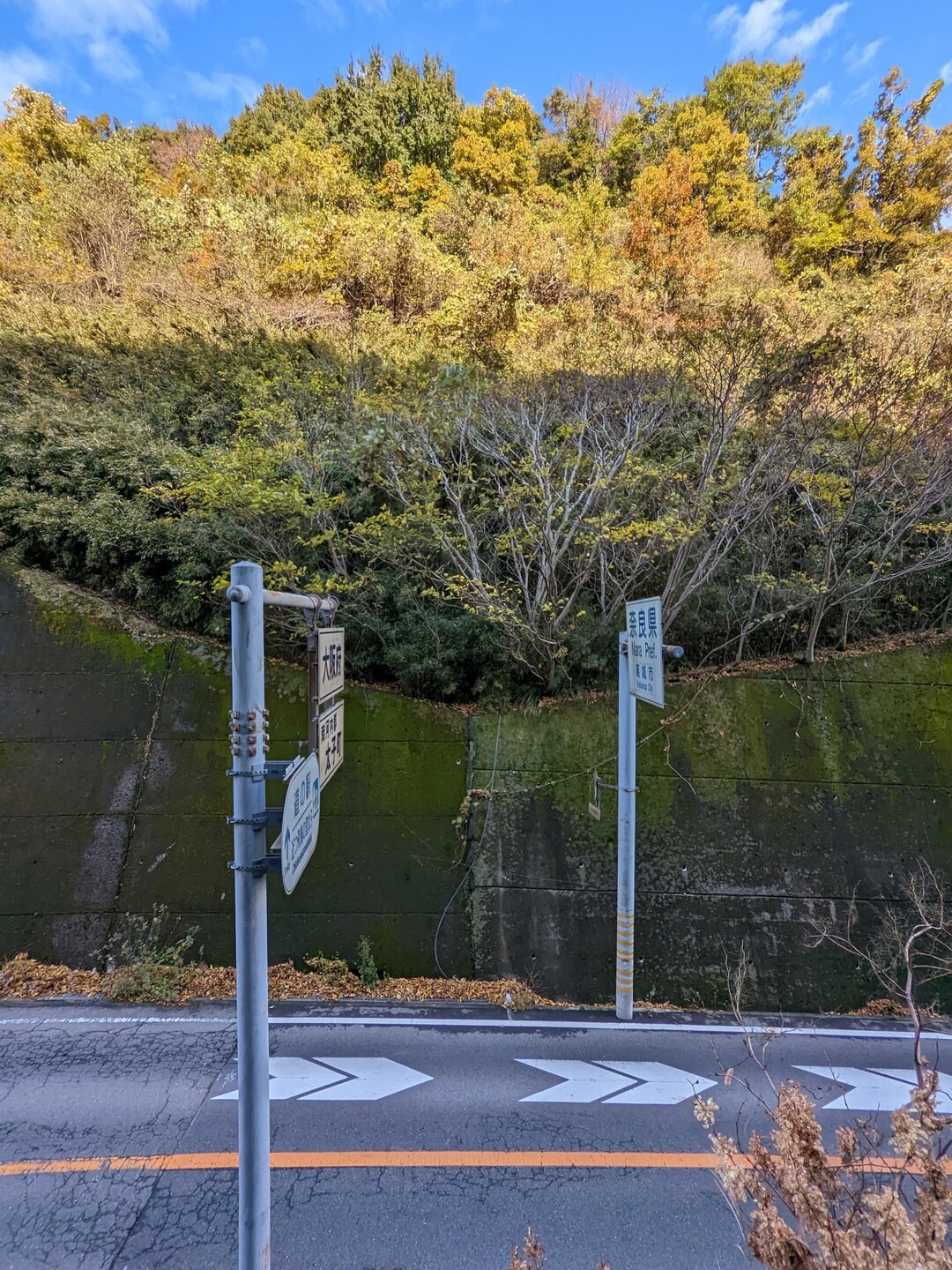 tkhsさんの投稿したフィールドメモ | YAMAP / ヤマップ