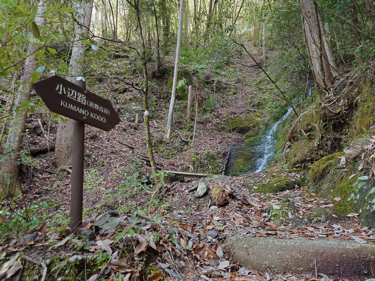 熊野古道 小辺路縦走二日目〜十津川温泉から三浦口へ〜 / kamoさんの熊野古道 小辺路の活動データ | YAMAP / ヤマップ