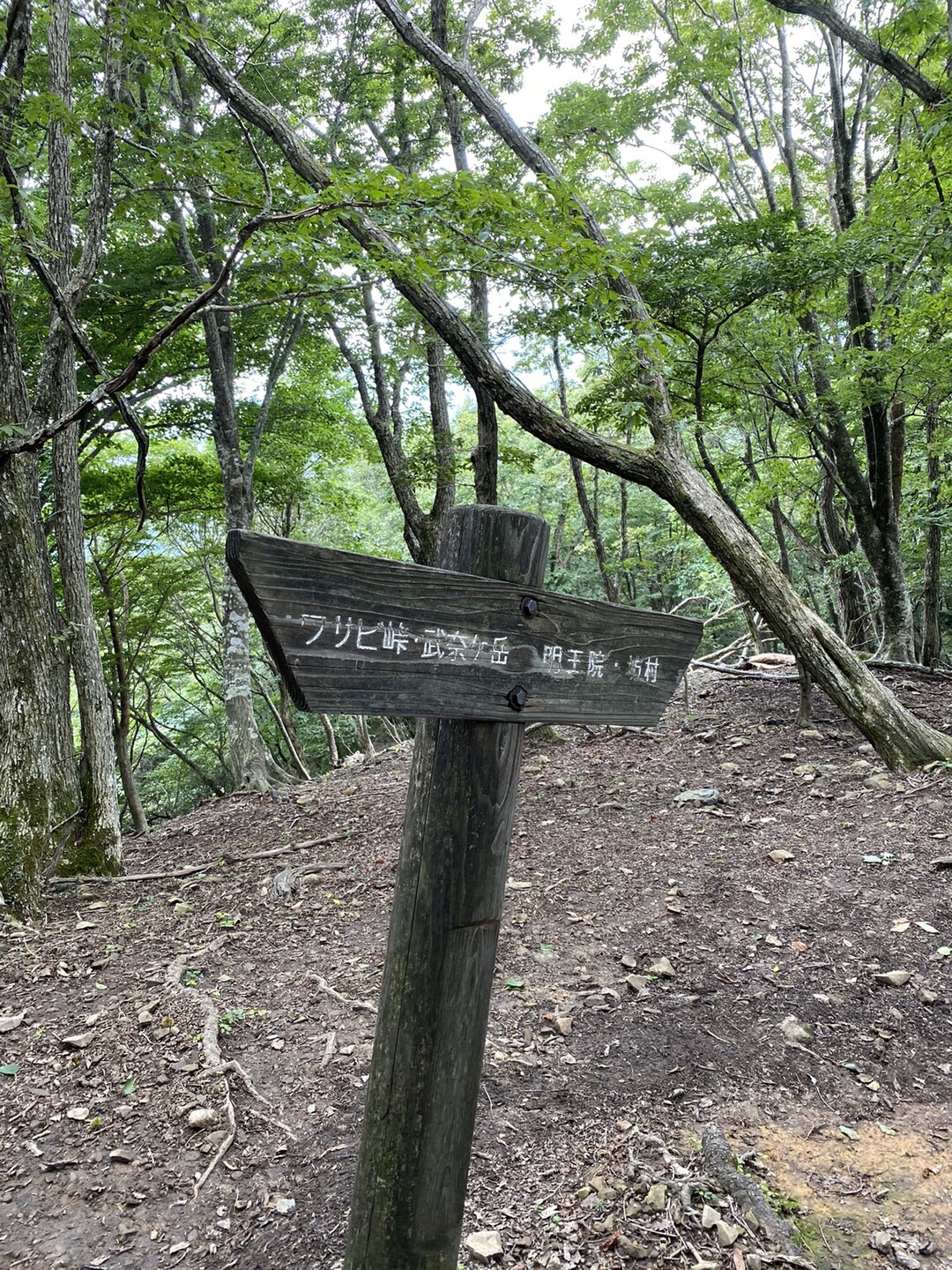 2022.08.27(土) 08:00 / miuさんのモーメント | YAMAP / ヤマップ