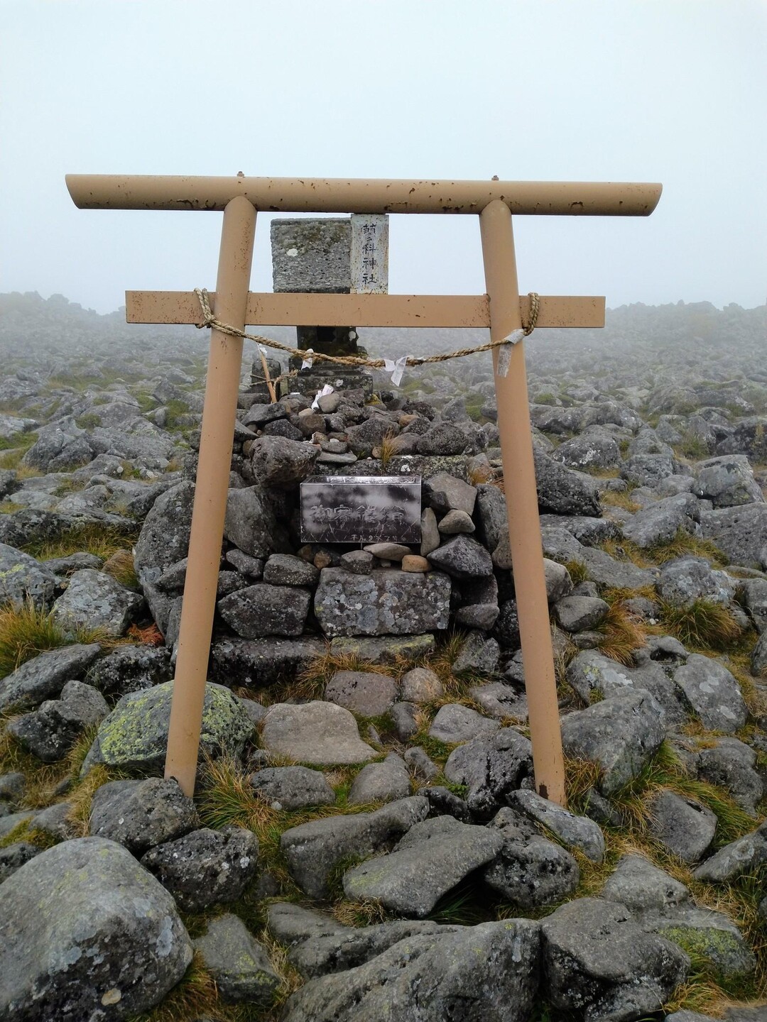 akkoさんの投稿したフィールドメモ | YAMAP / ヤマップ