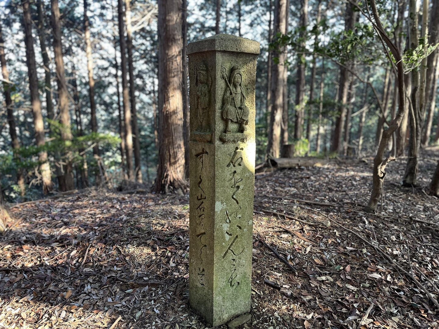 醍醐山・本宮の峰 / ku-fuさんの音羽山・醍醐山の活動データ | YAMAP / ヤマップ