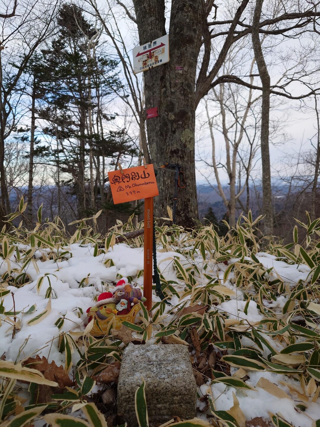 奥門別山（二等三角点） / fujisunさんの賀張山の活動データ | YAMAP / ヤマップ