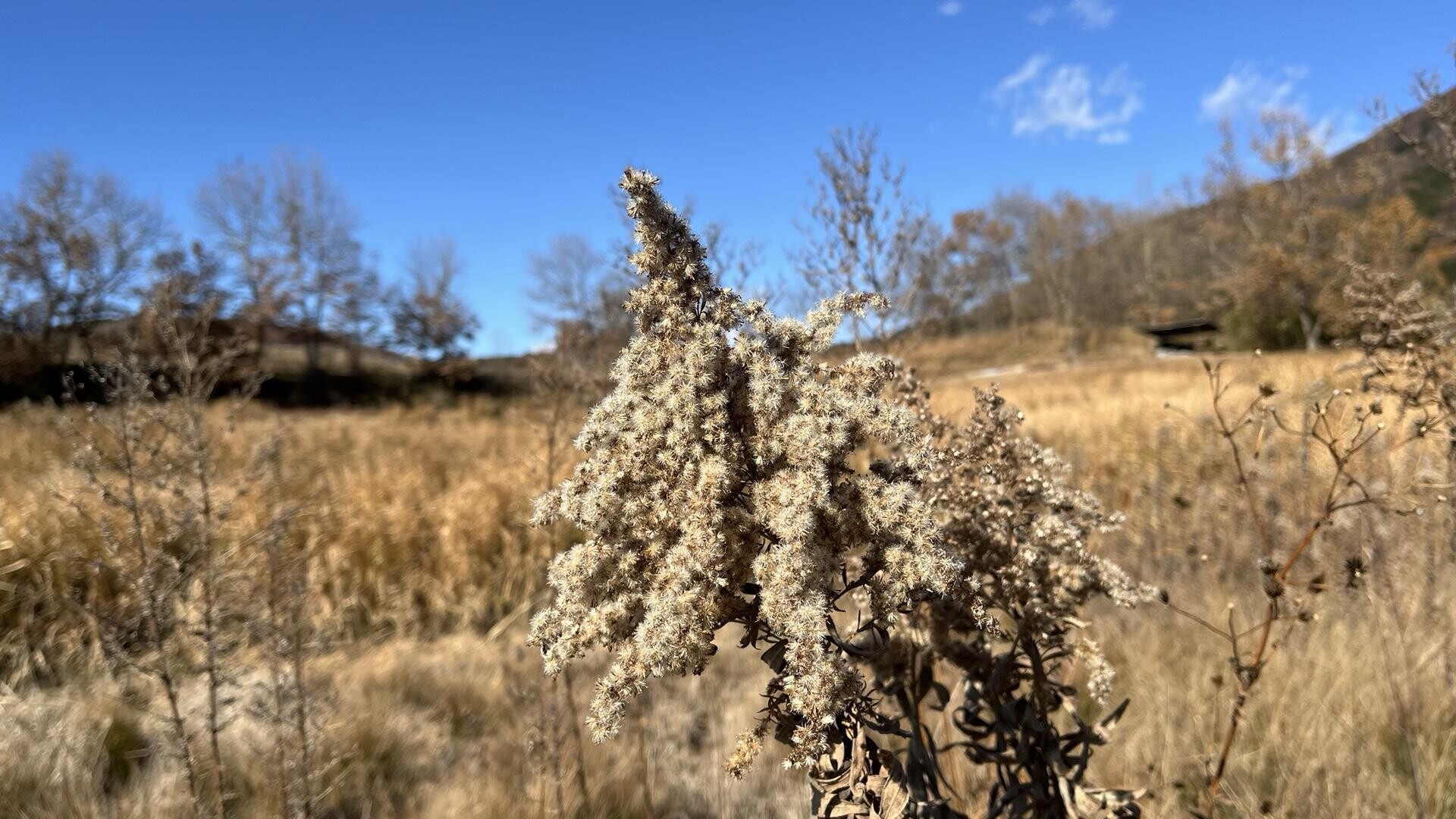 宝篋山・尖浅間山 / teiiiineさんの宝篋山・富岡山の活動データ | YAMAP / ヤマップ