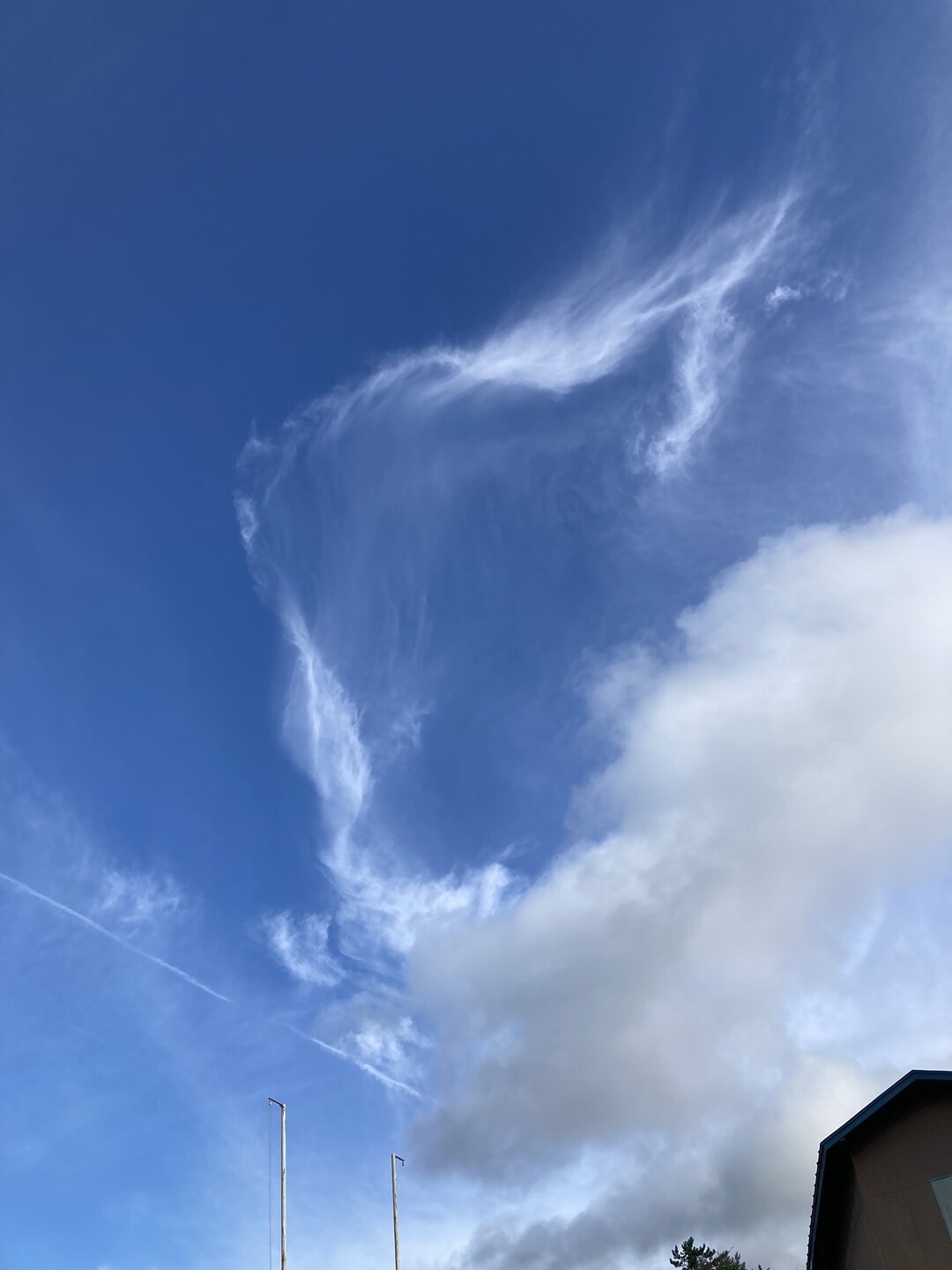 Dragon above the shr... / yellowさんのモーメント | YAMAP / ヤマップ