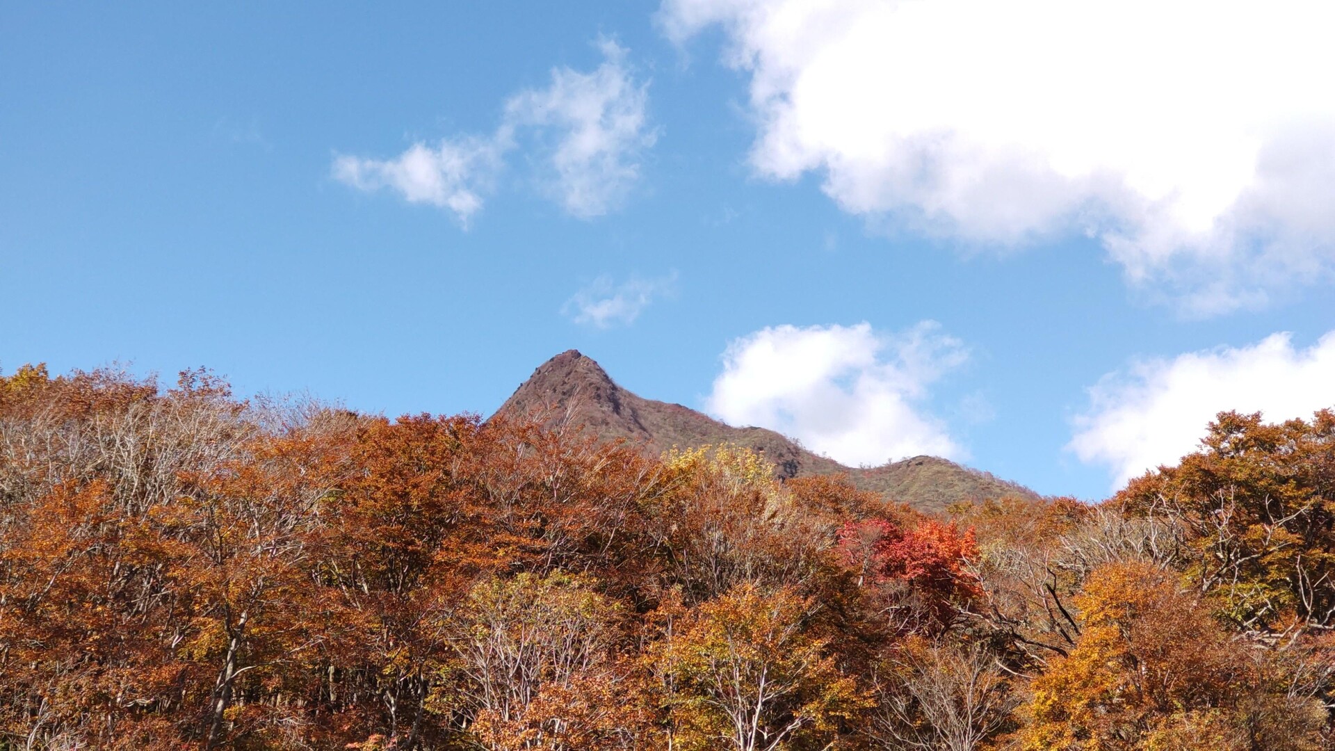 烏ヶ山 🎉 / さんちょtbさんの烏ヶ山・象山（笹ヶ峰）の活動日記 | YAMAP / ヤマップ
