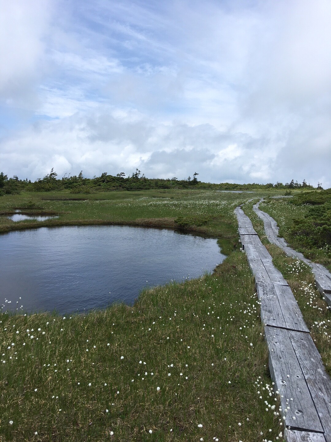 姥湯温泉~薬師森~明月湖~姥湯温泉 / bateniceさんの吾妻山・一切経山の活動データ | YAMAP / ヤマップ