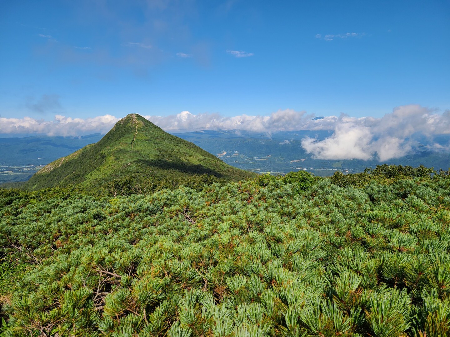 徳舜瞥山・ホロホロ山 / Mr.Masaさんの徳舜瞥山・ホロホロ山の活動日記 | YAMAP / ヤマップ