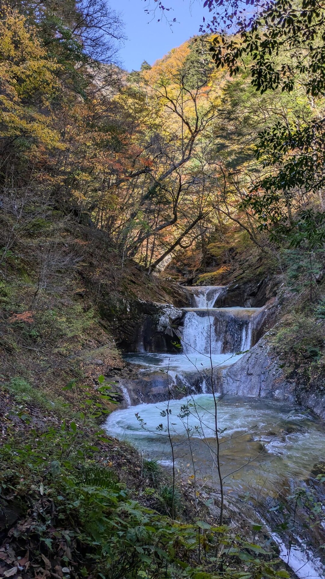 西沢渓谷-2024-11-03 / naluさんの甲武信ヶ岳の活動データ | YAMAP / ヤマップ