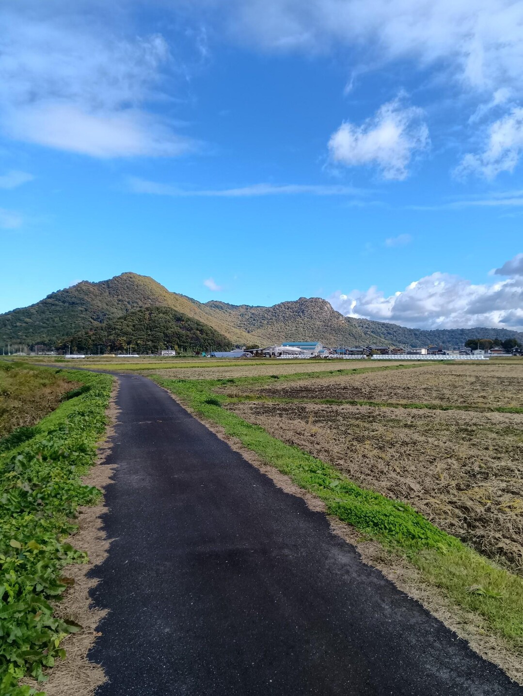 船岡山・岩戸山・小脇山・箕作山・太郎坊山 / megさんの箕作山・太郎坊山の活動データ | YAMAP / ヤマップ