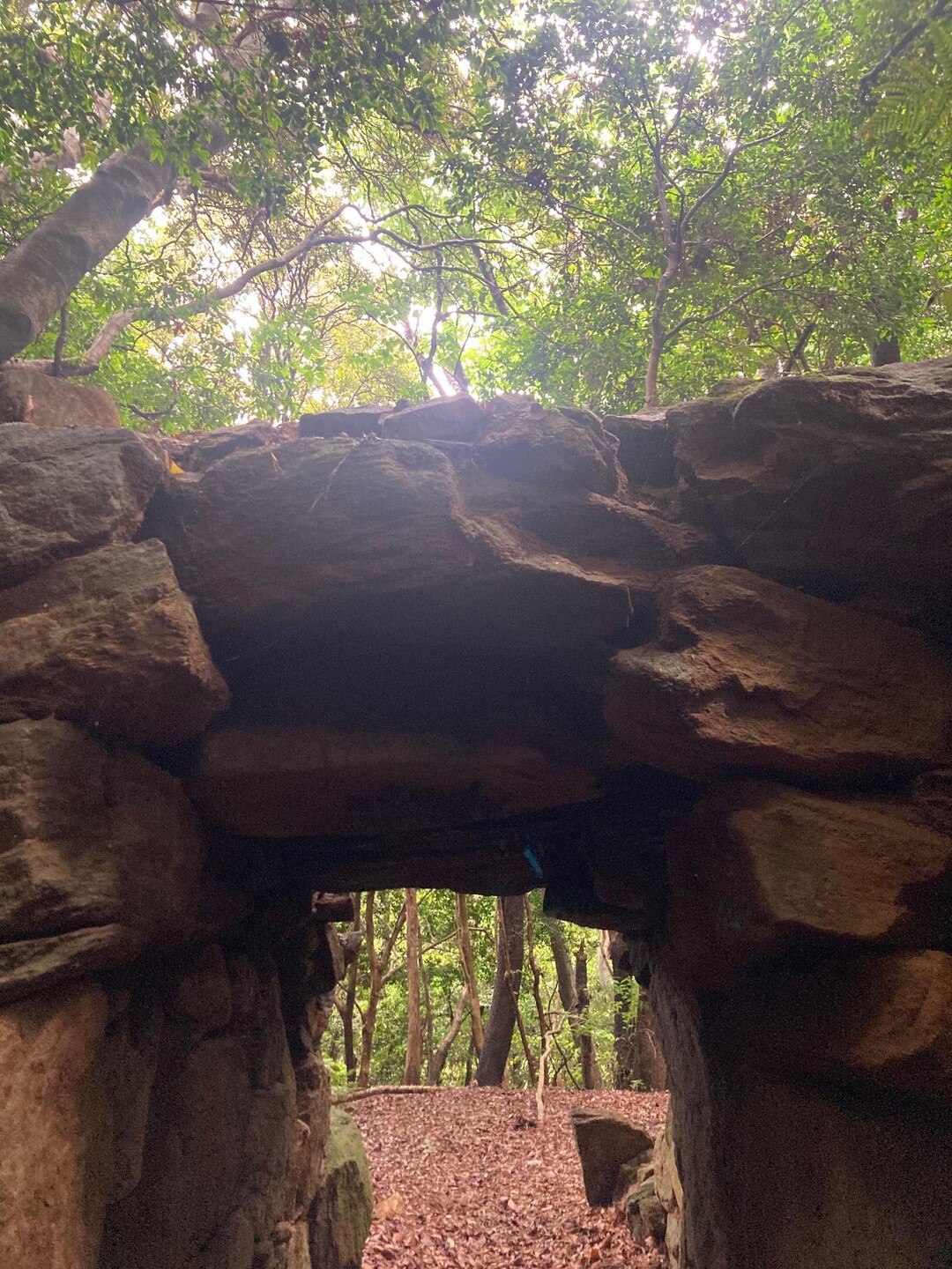 茶臼山・西茶臼山・イナバ山 / yt_jim80さんの茶臼山・万灯山の活動データ | YAMAP / ヤマップ