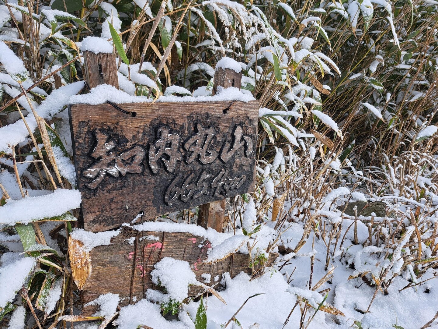 道南遠征1日目 知内丸山 / nomさんの知内丸山・尖山の活動日記 | YAMAP / ヤマップ