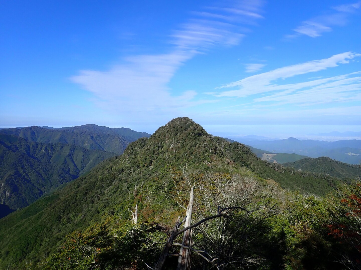 天主山・切剥 R5.10.6 / かわとんぼさんの向坂山・三方山・天主山の活動日記 | YAMAP / ヤマップ