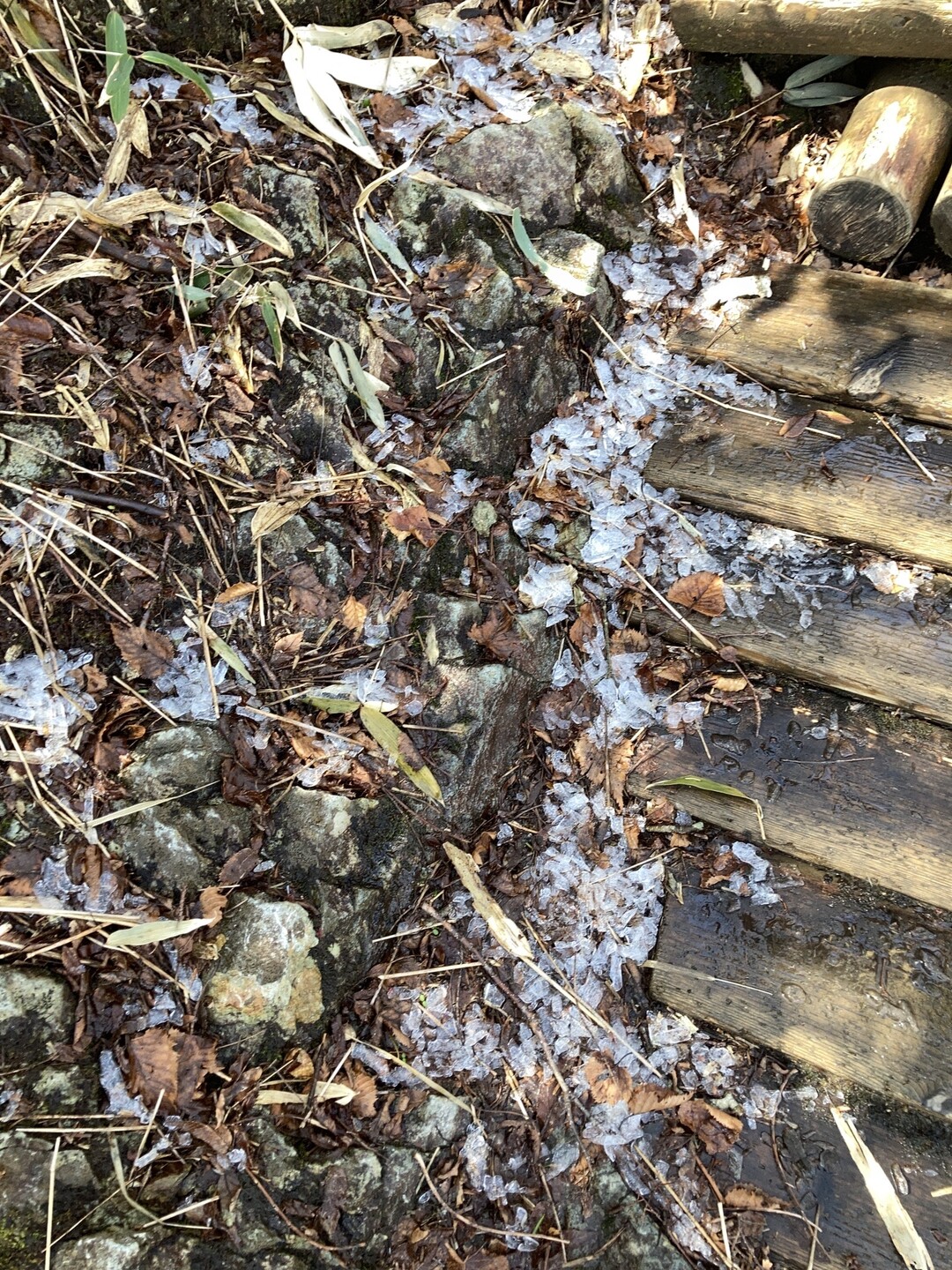 石鎚山登山中に氷のかけらが落ちて不思議... / R352さんのモーメント | YAMAP / ヤマップ