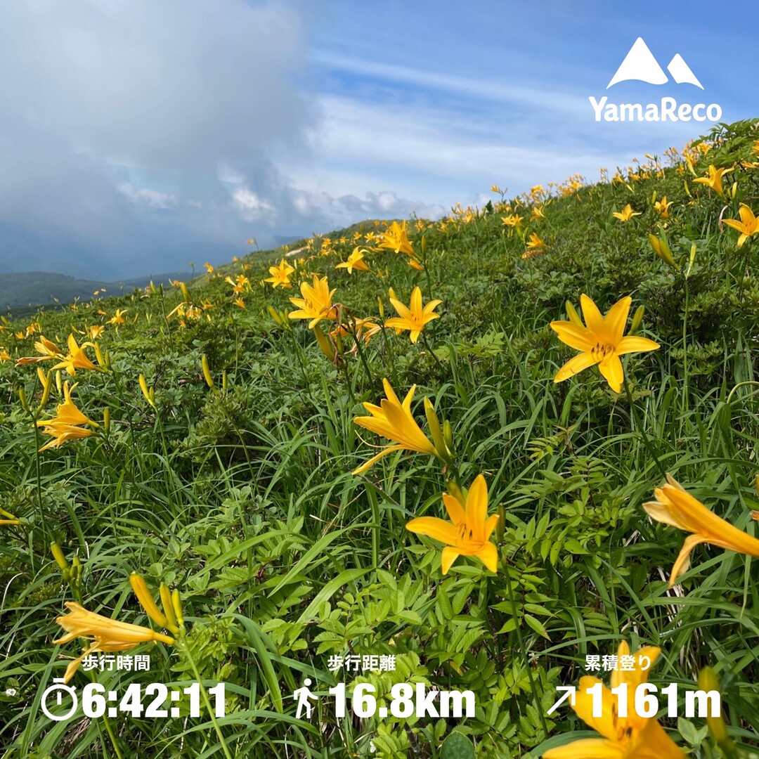 7月9日 富山県 岐阜県 白木峰 ... / ISOさんのモーメント | YAMAP / ヤマップ