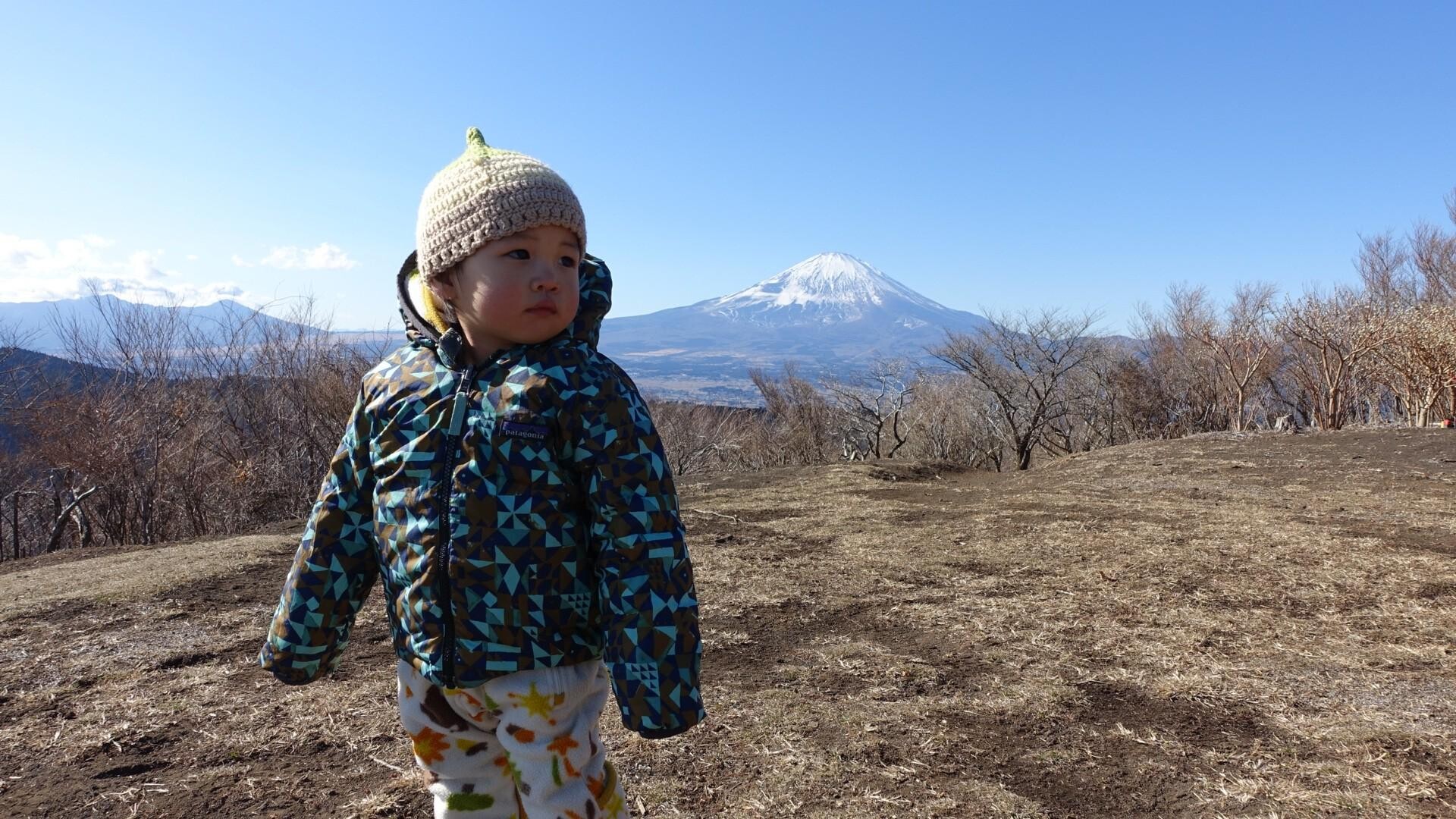 初登りは矢倉岳 / daigoさんの矢倉岳の活動データ | YAMAP / ヤマップ