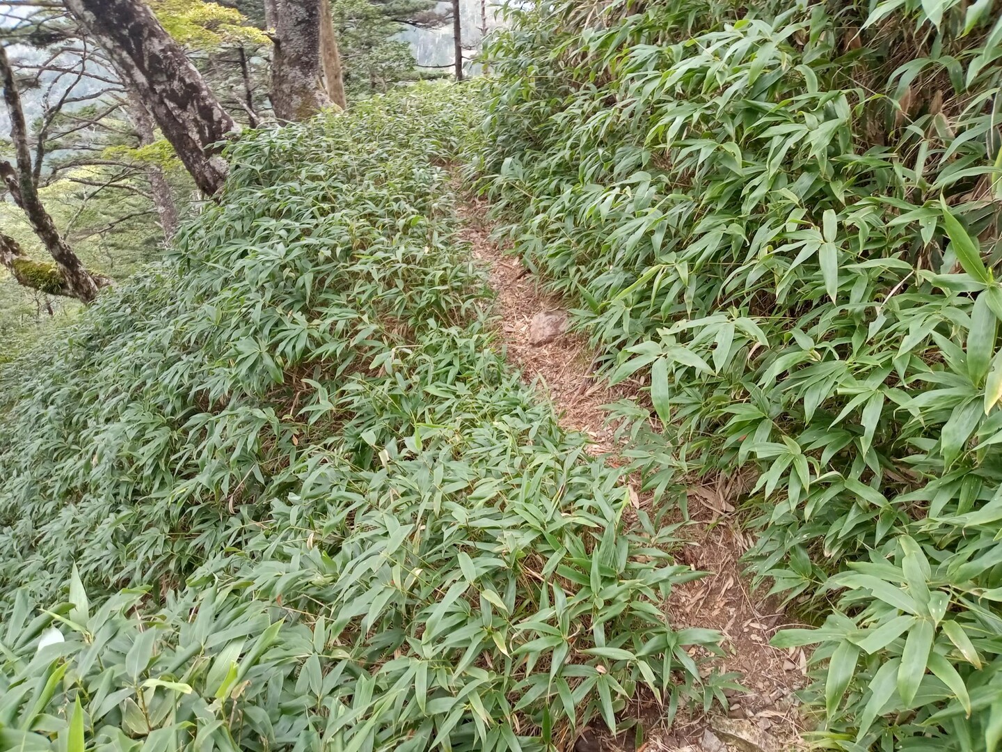 FREEDOMさんの投稿したフィールドメモ | YAMAP / ヤマップ