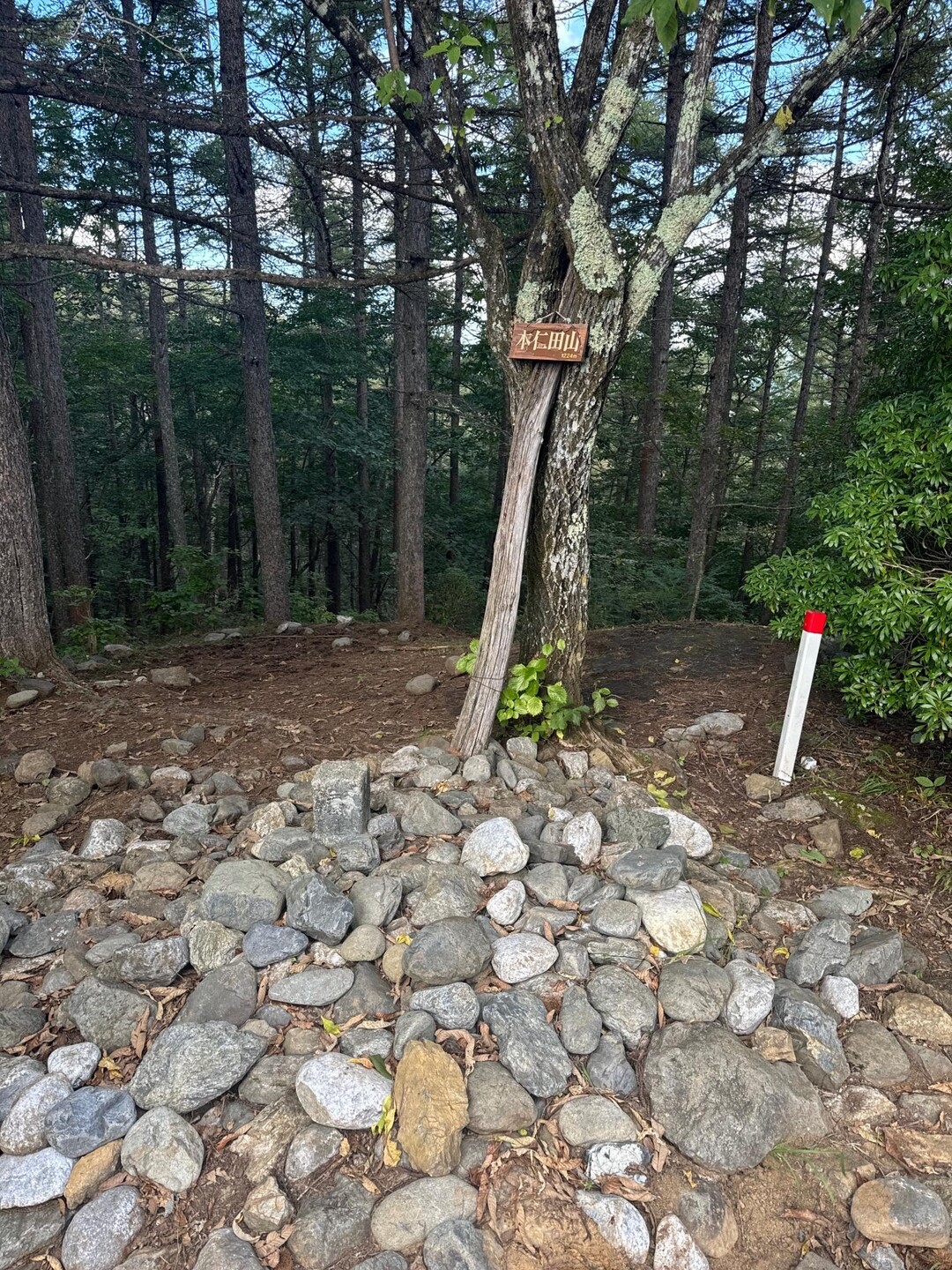 本仁田山 / smashaceさんの川苔山（川乗山）の活動データ | YAMAP / ヤマップ