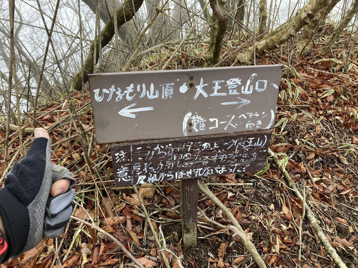 大王ｺｰｽ↗️と生駒ｺｰｽ↘️で周回 夷守岳 -2024-01-06 / まつ〜ごさんの霧島山・韓国岳・高千穂峰・夷守岳・烏帽子岳の活動データ | YAMAP / ヤマップ