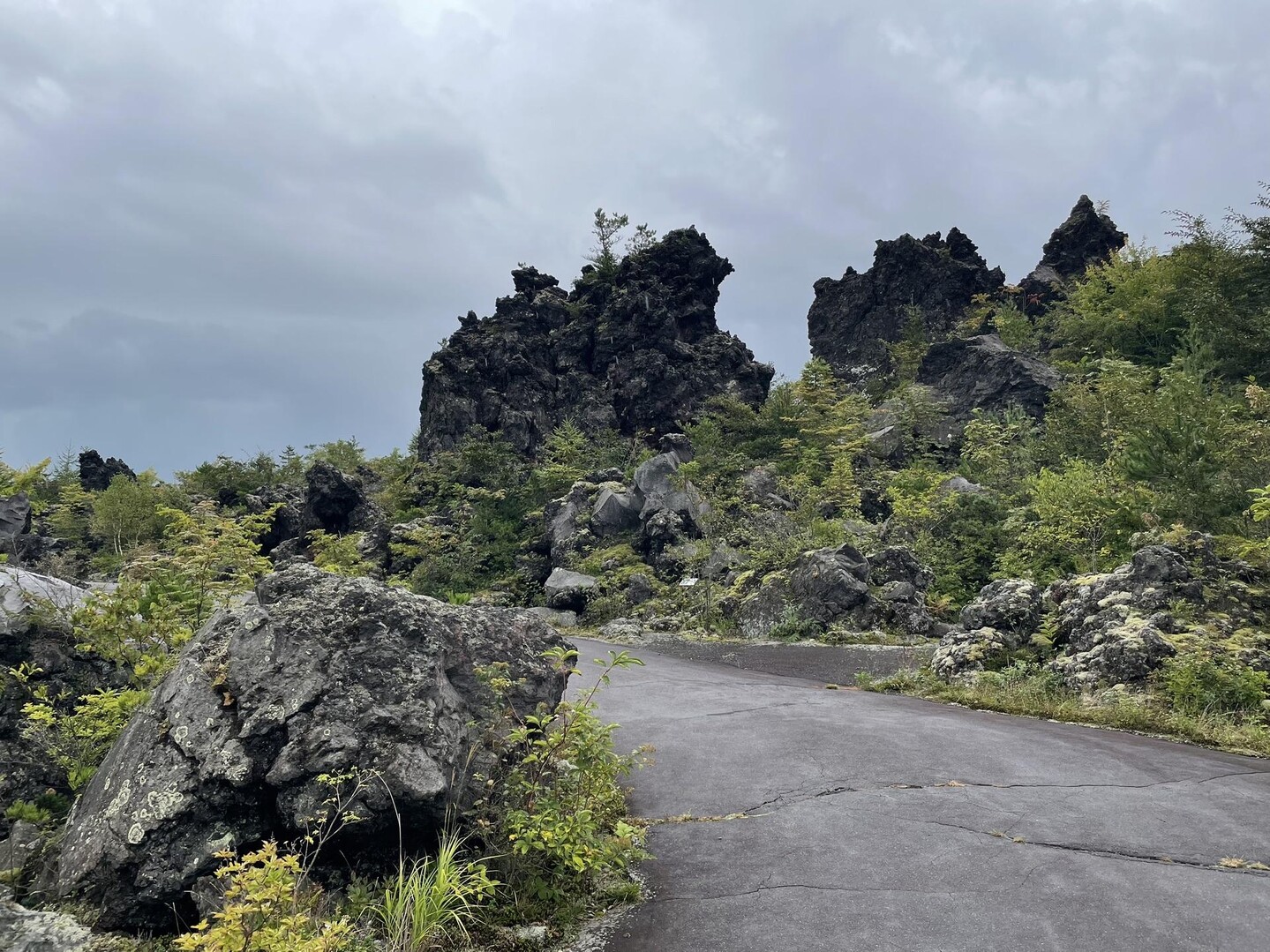 Onioshidashi-en / 鬼押出し園 / Benさんの軽井沢トレイルランニングレース（ロングコース）の活動データ | YAMAP / ヤマップ
