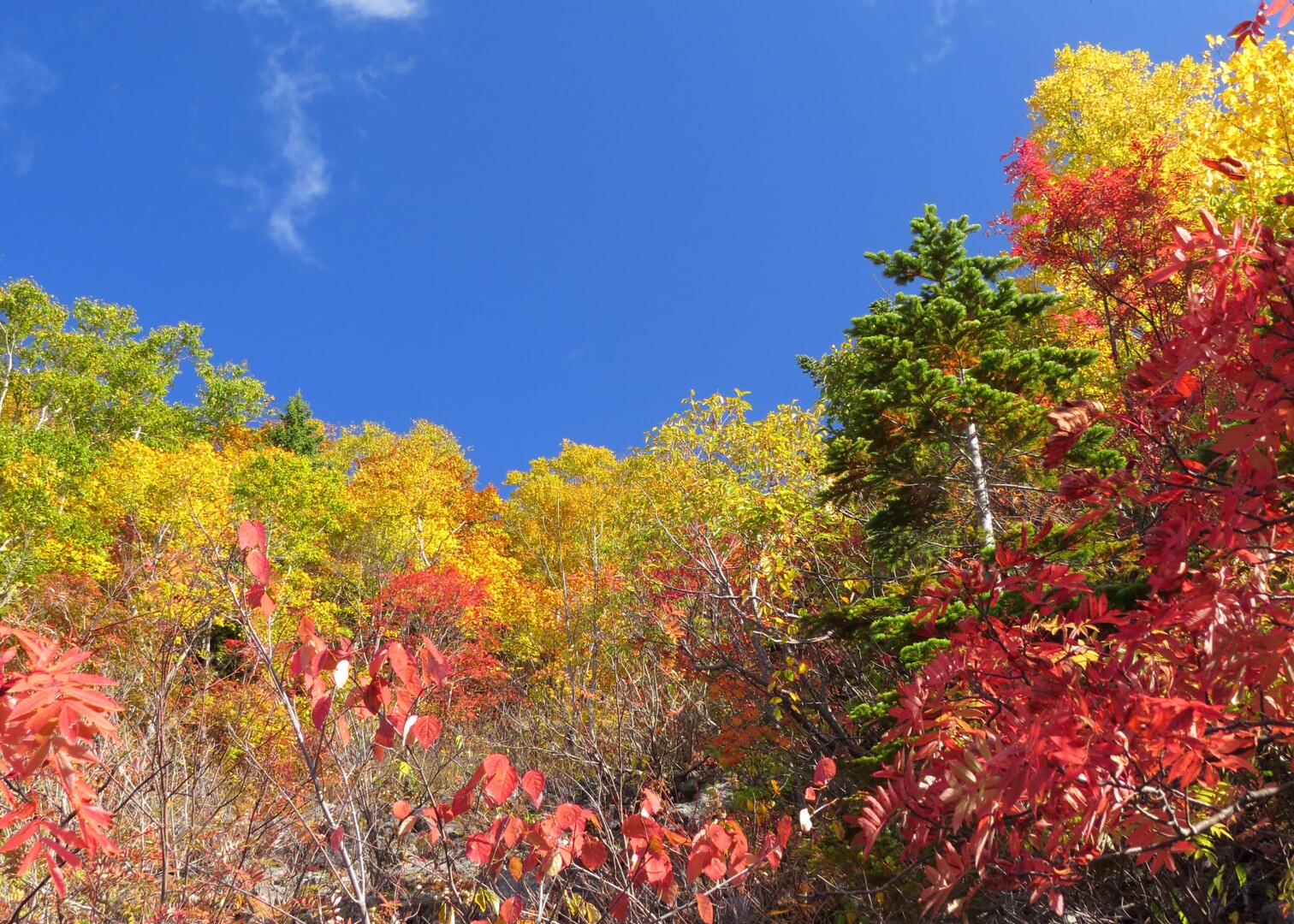 手稲山（平和の滝コース）ロケハン風味でのんびりと / chromeさんの手稲山・奥手稲山の活動データ | YAMAP / ヤマップ