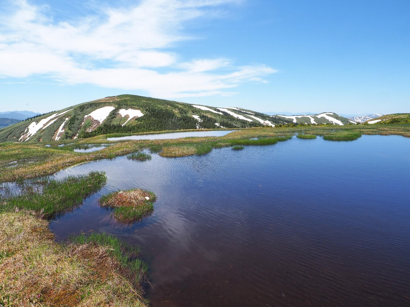 平ヶ岳🌱 - 20230617 / Tadaboxさんの平ヶ岳・台倉山・池ノ岳の活動データ | YAMAP / ヤマップ