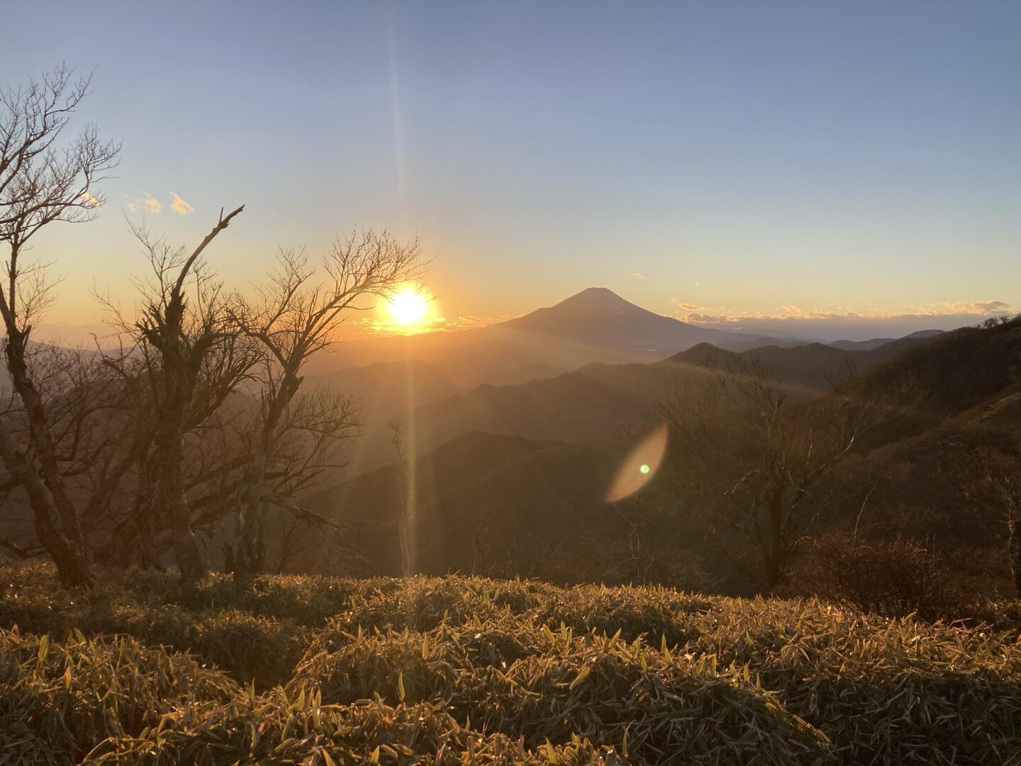 丹沢山・塔ノ岳・鍋割山 / Mameさんの塔ノ岳・丹沢山・蛭ヶ岳の活動データ | YAMAP / ヤマップ