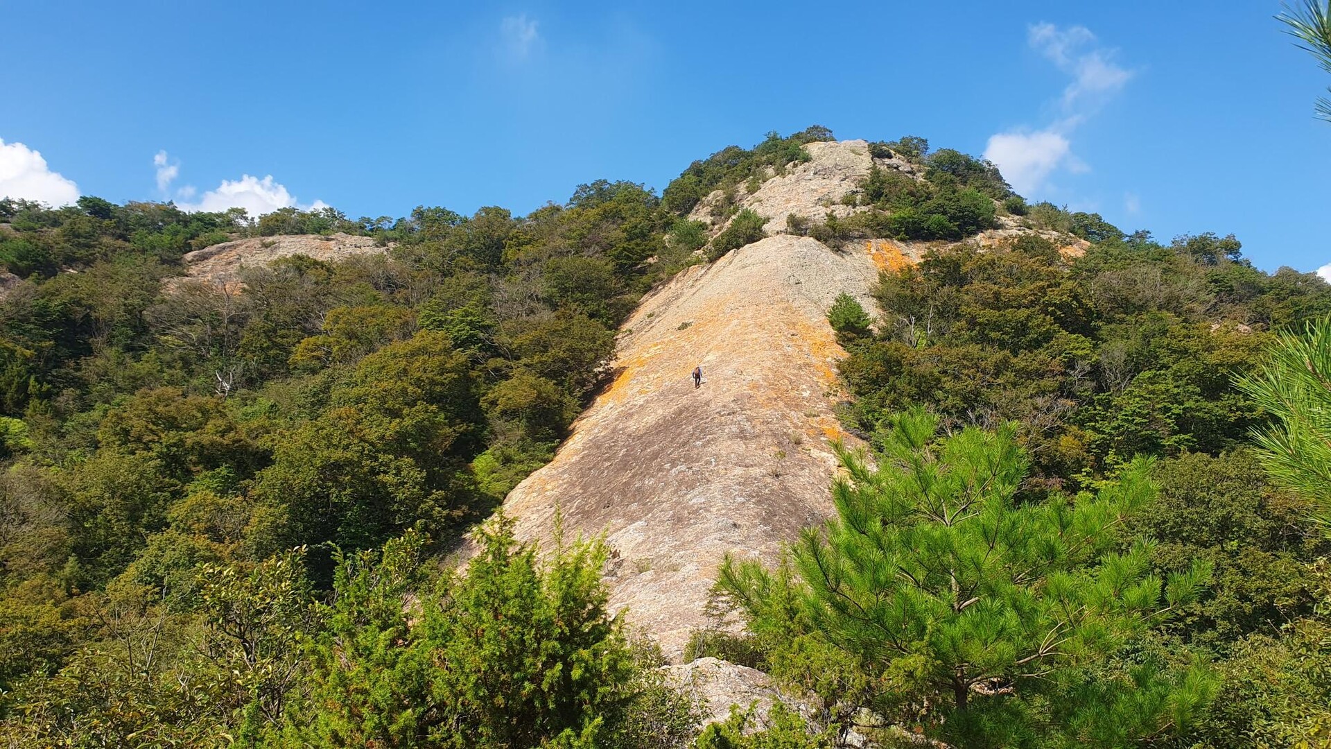 Ono Alps (高山・前山・愛宕山・安場山・総山・アンテナ山・惣山(小野富士)・紅山・西紅山・岩山・宮山・南野山) / natsunattsuさんの小野アルプス（紅山・惣山）の活動データ ...