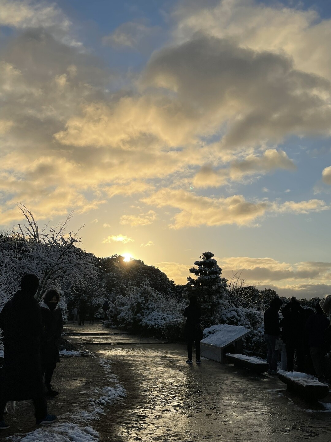 あけましておめでとうございます㊗️🐯 まんまるちーのさんのモーメント Yamap ヤマップ