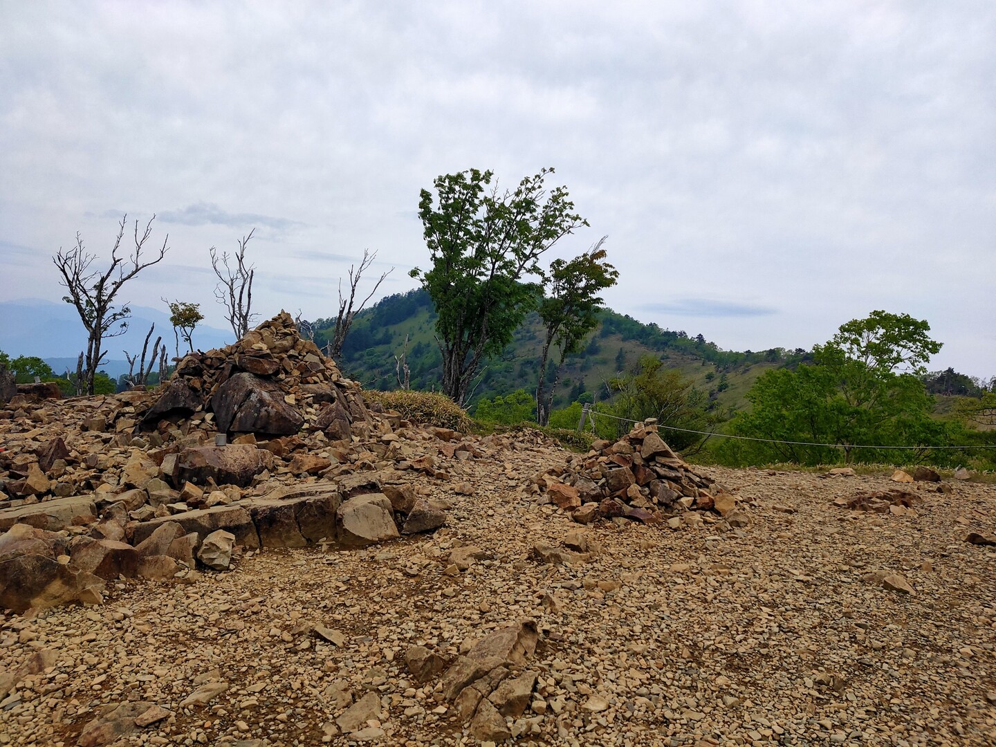 大菩薩嶺 / 大菩薩嶺・鶏冠山・大マテイ山の写真18枚目 | YAMAP / ヤマップ