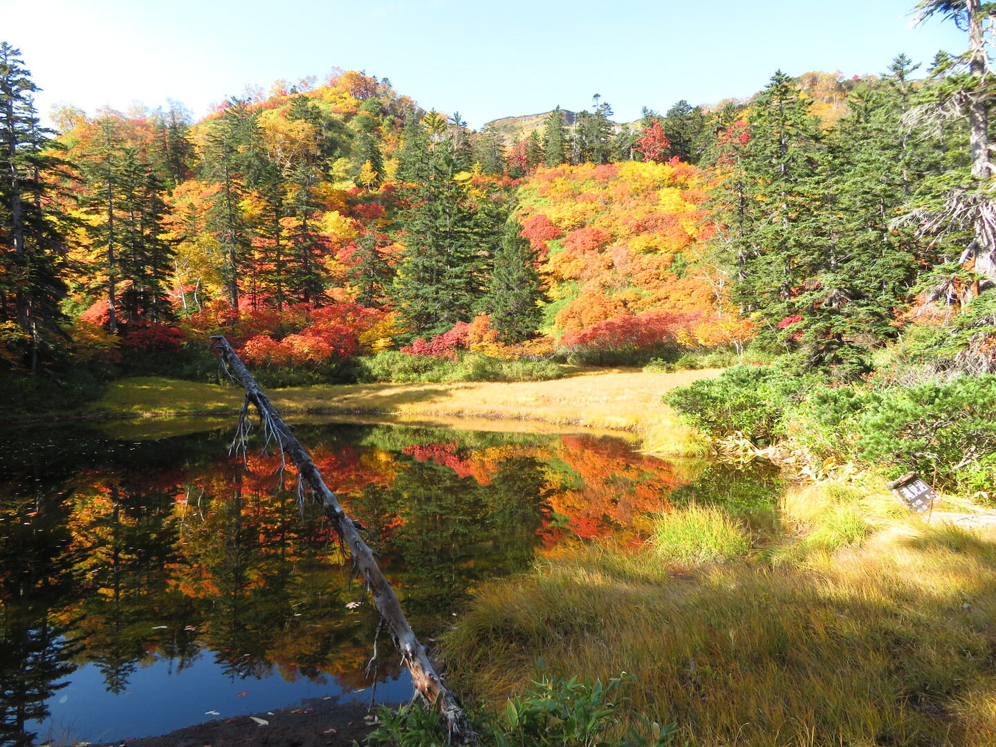 大雪山系・旭岳・トムラウシ-2019-09-29 / naotoGSさんの大雪山系・旭岳・トムラウシの活動データ | YAMAP / ヤマップ