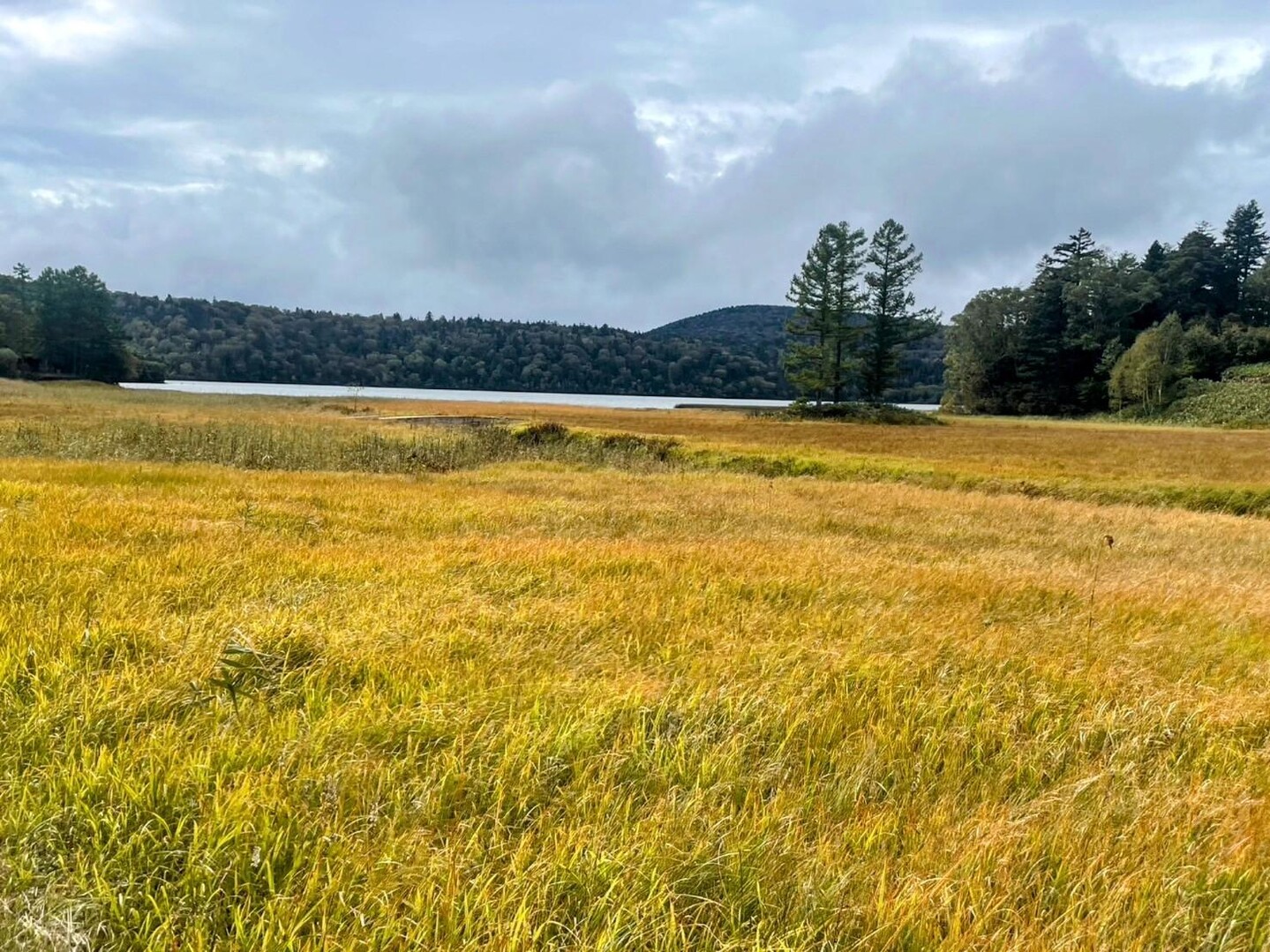 尾瀬沼一周&ミノブチ岳・俎嵓 / ザキーヤさんの尾瀬・燧ヶ岳の活動データ | YAMAP / ヤマップ