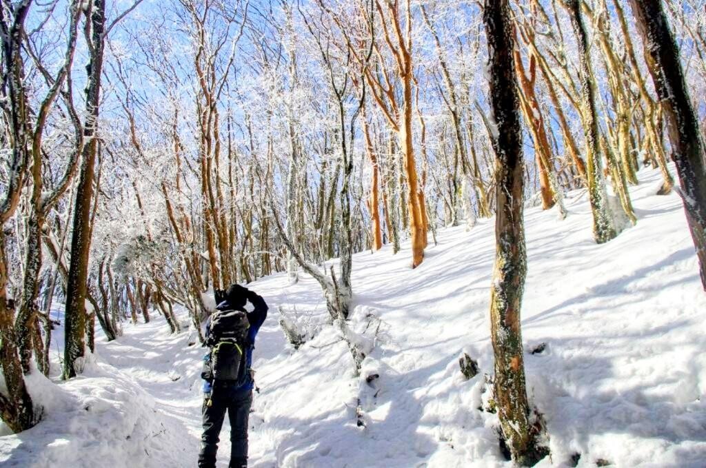 ヒロ777のページ | YAMAP / ヤマップ