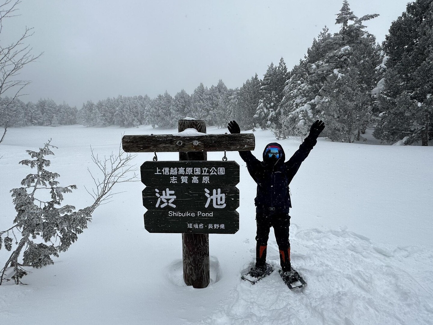 スノーシュー🎿in志賀高原 I（2023.2.25-26） / tiroさんの横手山・志賀山・赤石山の活動データ | YAMAP / ヤマップ