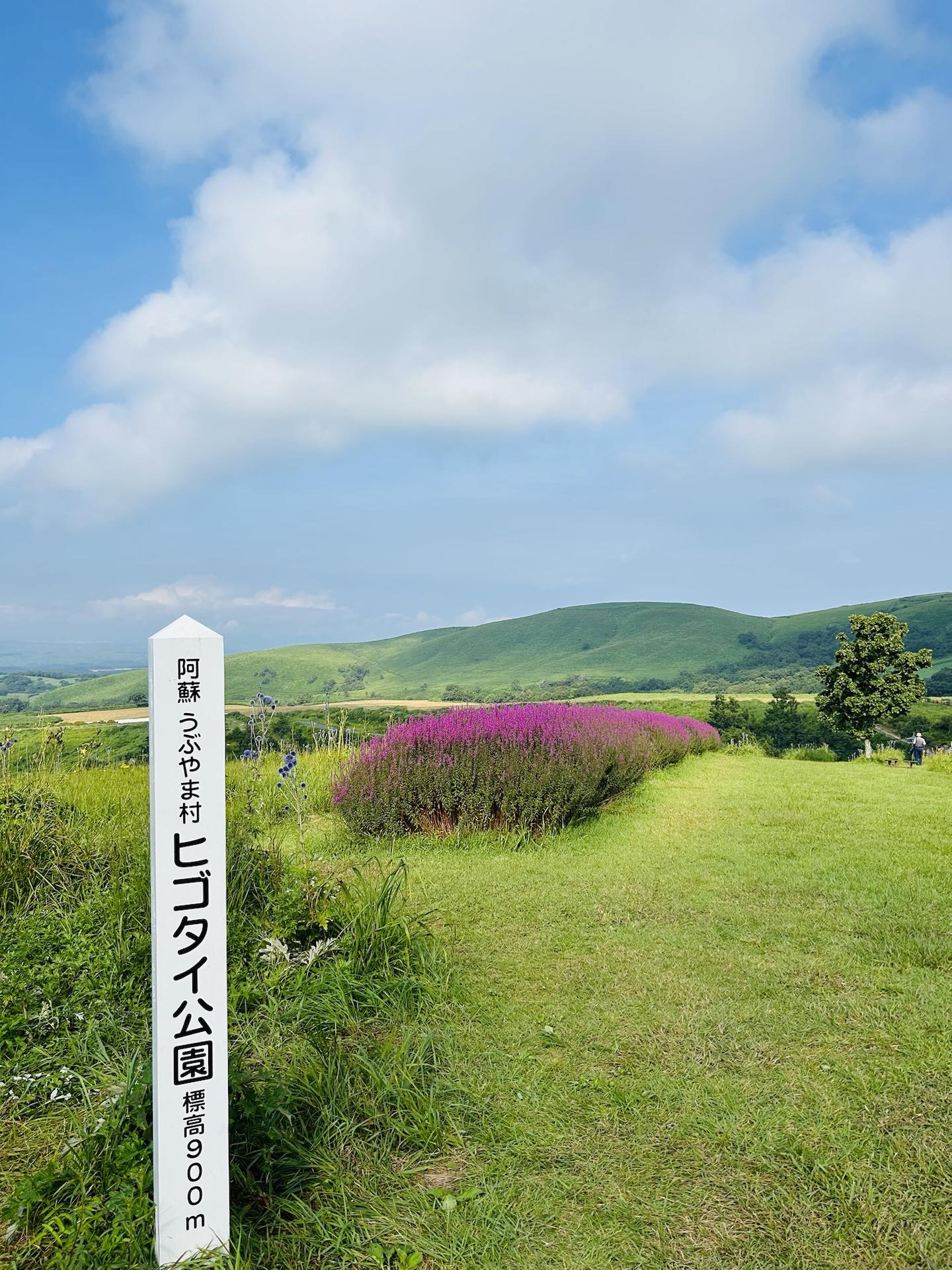 ヒゴダイ公園 / akoさんの涌蓋山・猟師山の活動データ | YAMAP / ヤマップ