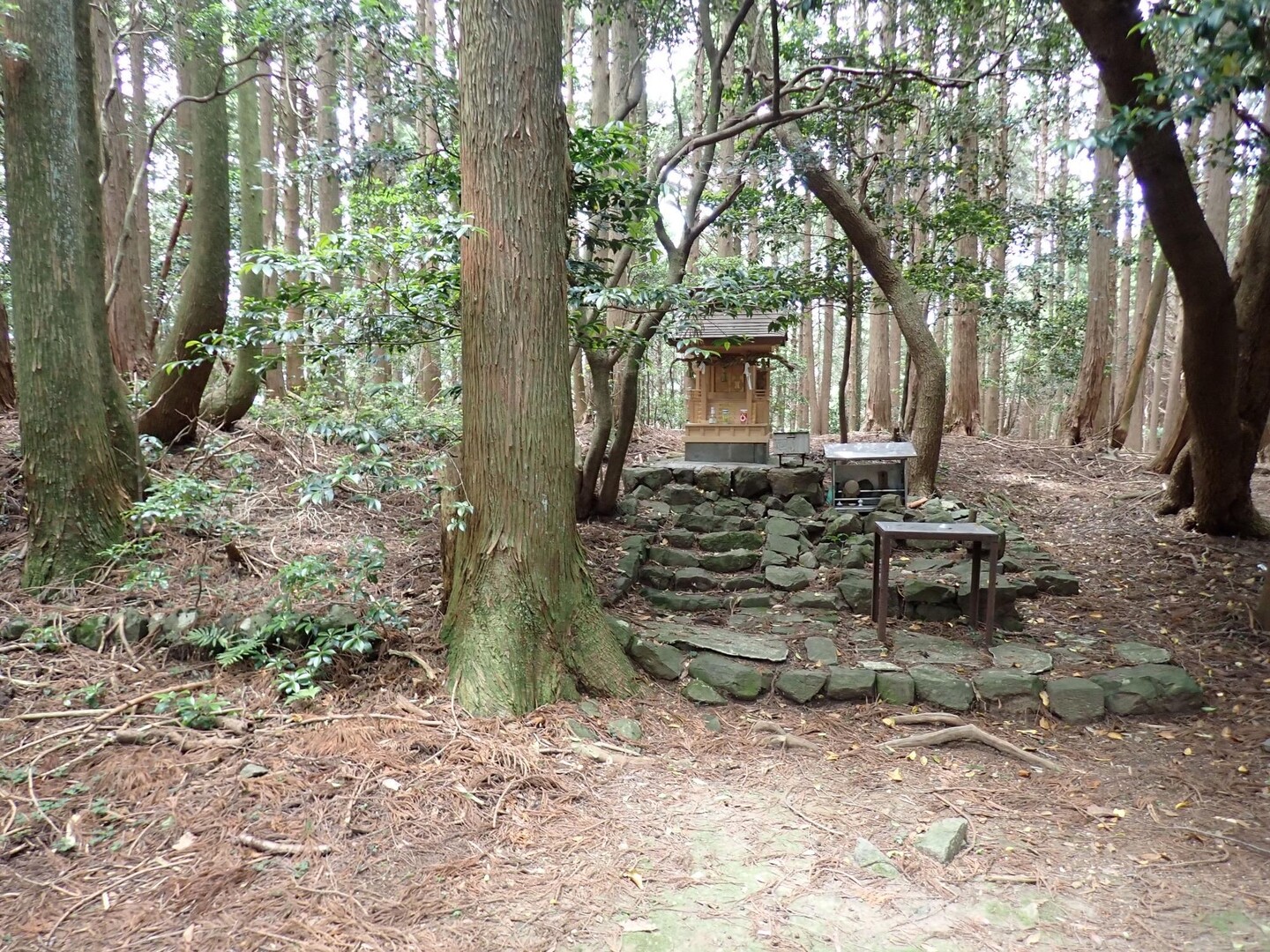 神様ダブルヘッダー（尾高山・福王山） / Hiro_10さんの釈迦ヶ岳の活動データ | YAMAP / ヤマップ