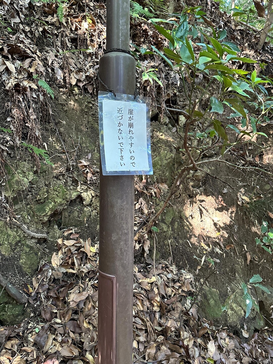 kaze neko noさんの投稿したフィールドメモ | YAMAP / ヤマップ