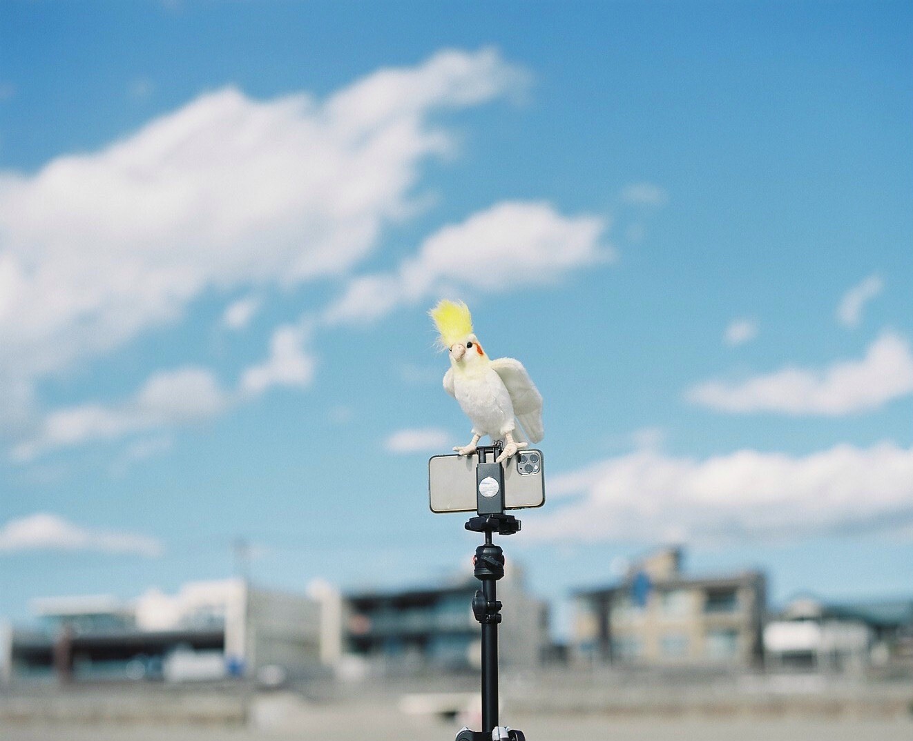 サクッと檜洞丸 https://yama... / よーだ山さんのモーメント | YAMAP / ヤマップ