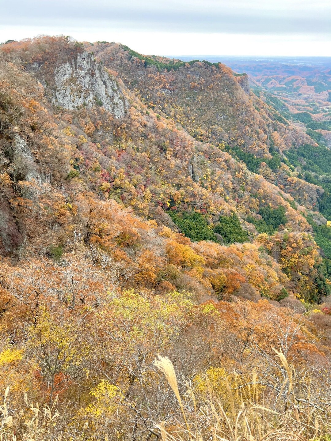 奥久慈男体山 / SUさんの奥久慈男体山・月居山・篭岩（篭岩山）の活動データ | YAMAP / ヤマップ