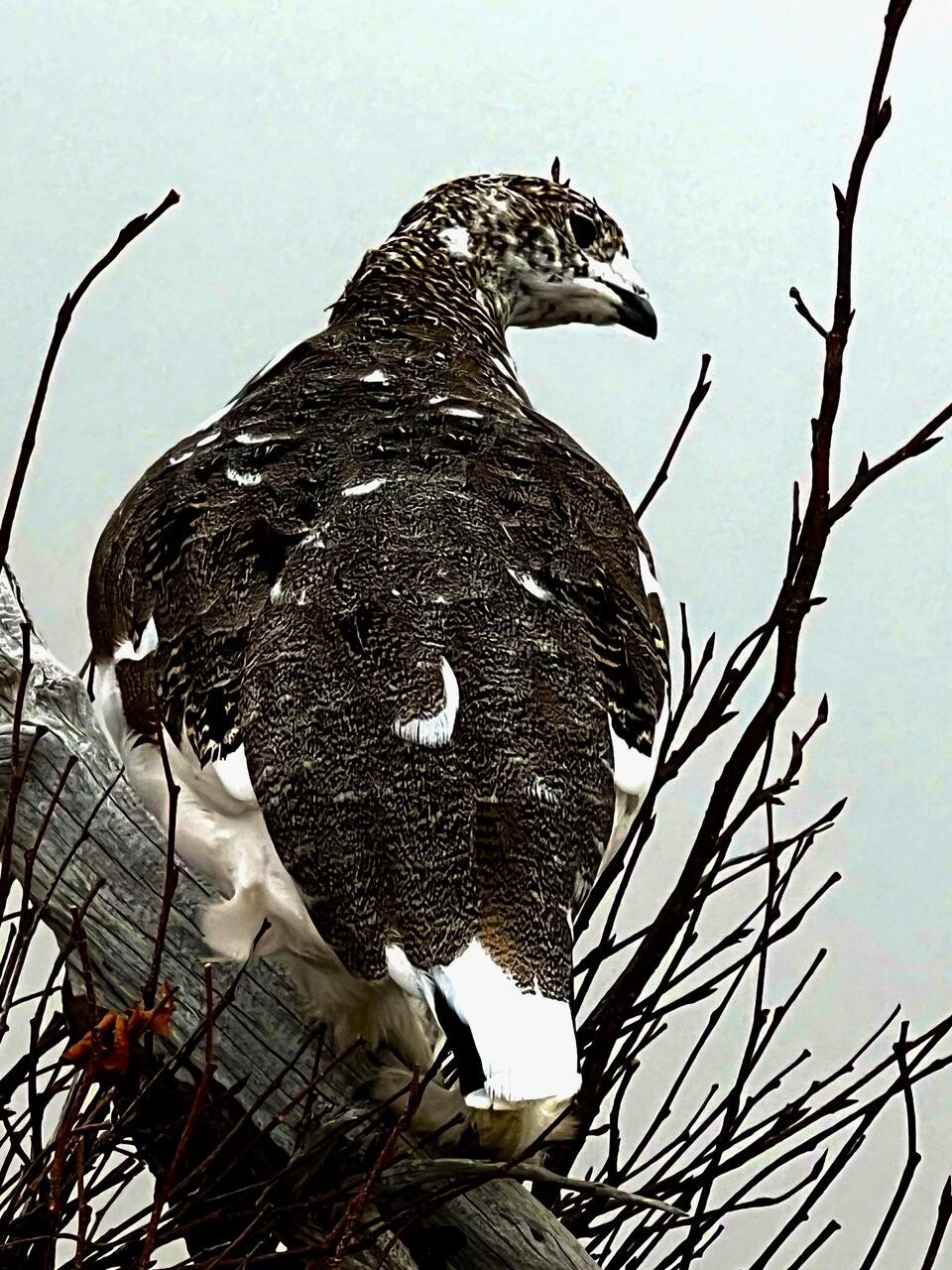 yukiのページ | YAMAP / ヤマップ