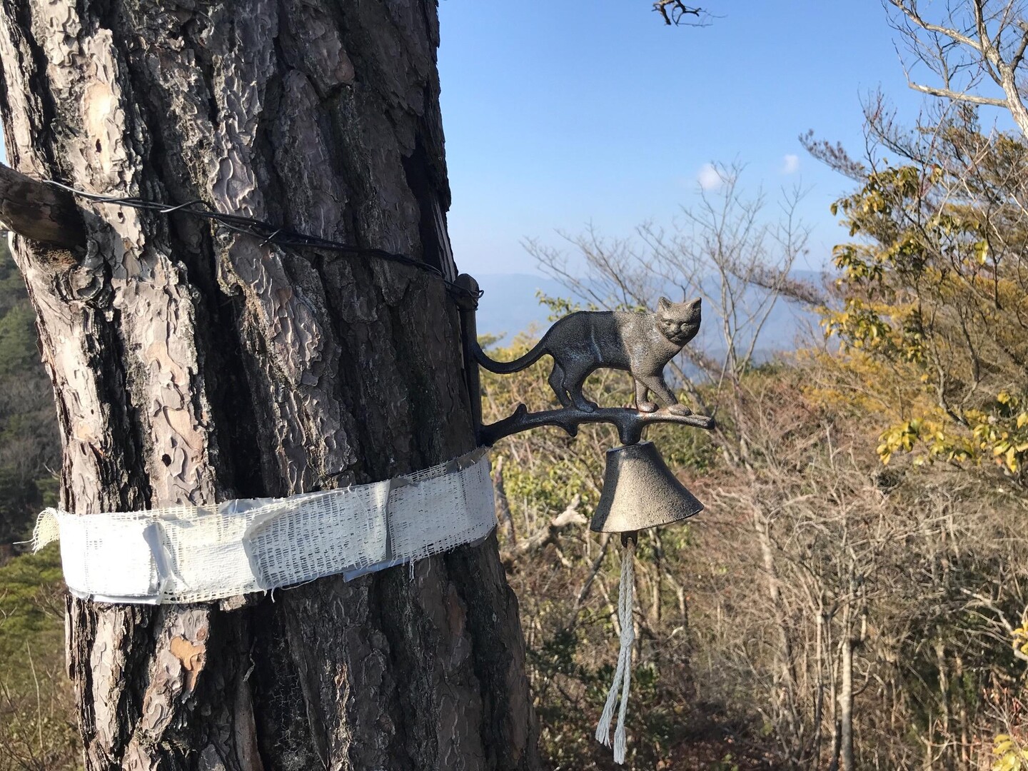 窓ヶ山東峰・窓ヶ山西峰・向山 / ISO izoさんの窓ヶ山・向山の活動日記 | YAMAP / ヤマップ