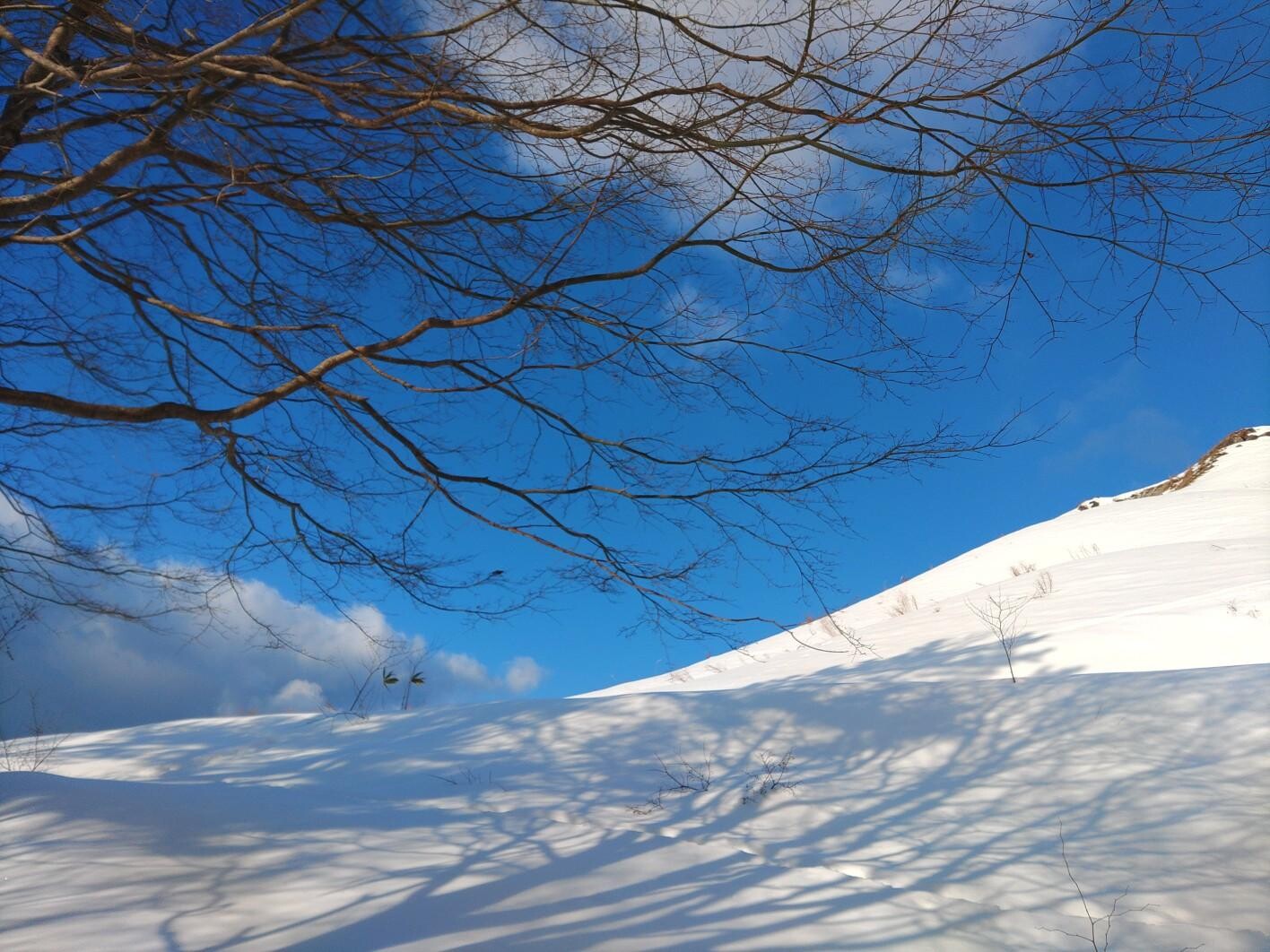 冬季遠征初日はオジさんぽ(広島) / isoやんさんの雲月山・大潰山・大佐山の活動データ | YAMAP / ヤマップ
