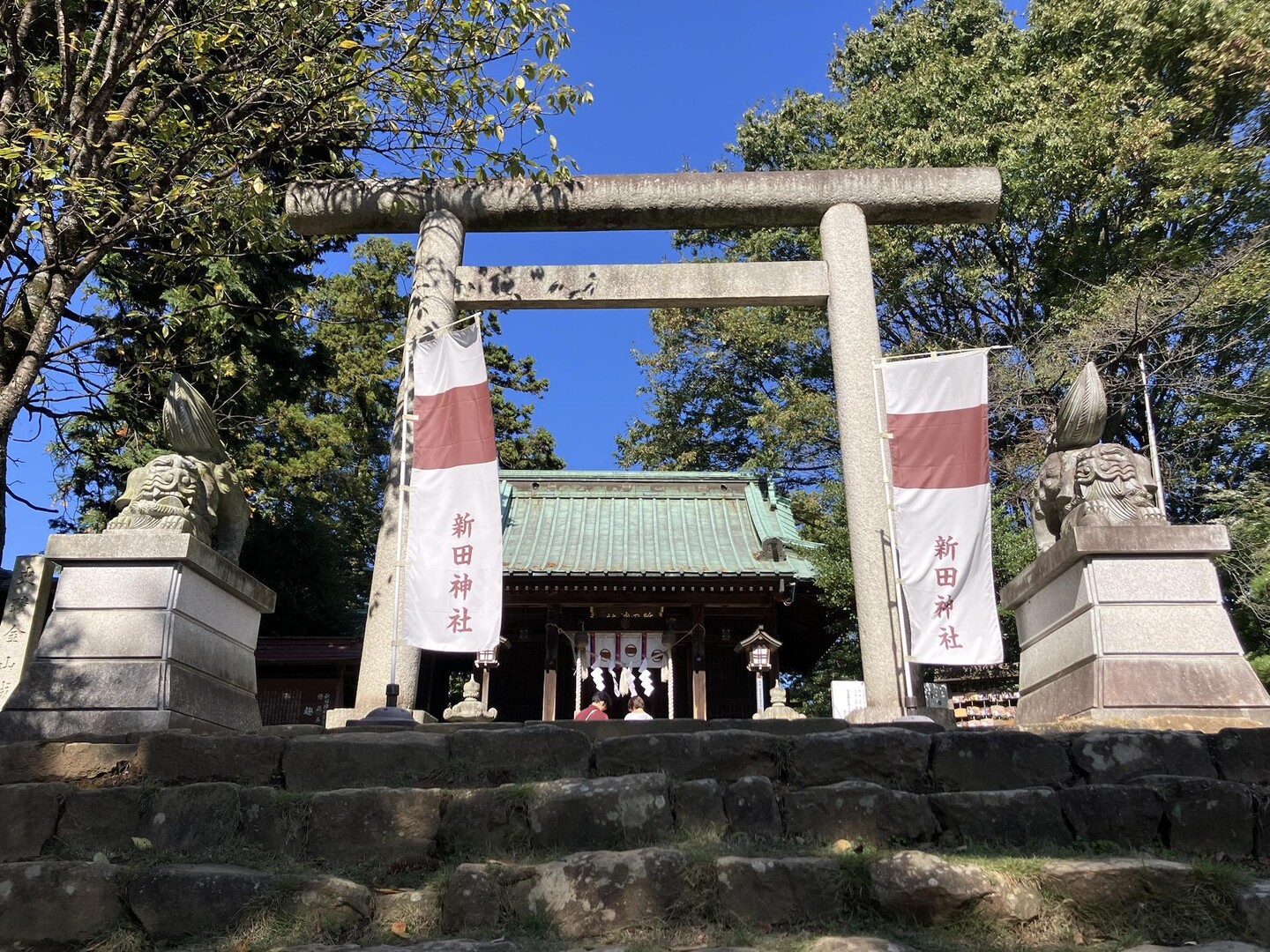 Mt.GUNMA 2024『秋』金山城🏯 / 火の意志を継ぐ者さんの金山（新田金山）・八王子丘陵の活動データ | YAMAP / ヤマップ